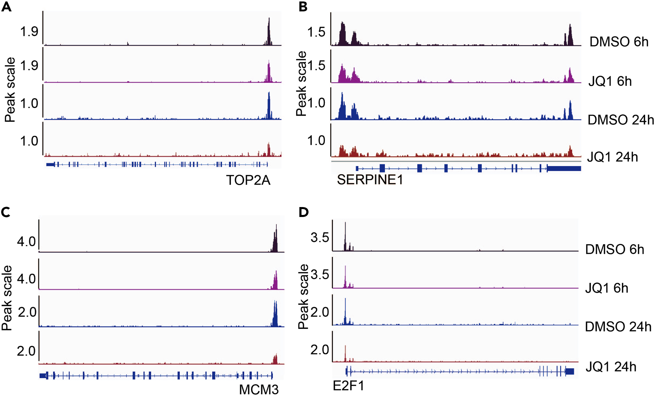 Cell Press: STAR Protocols