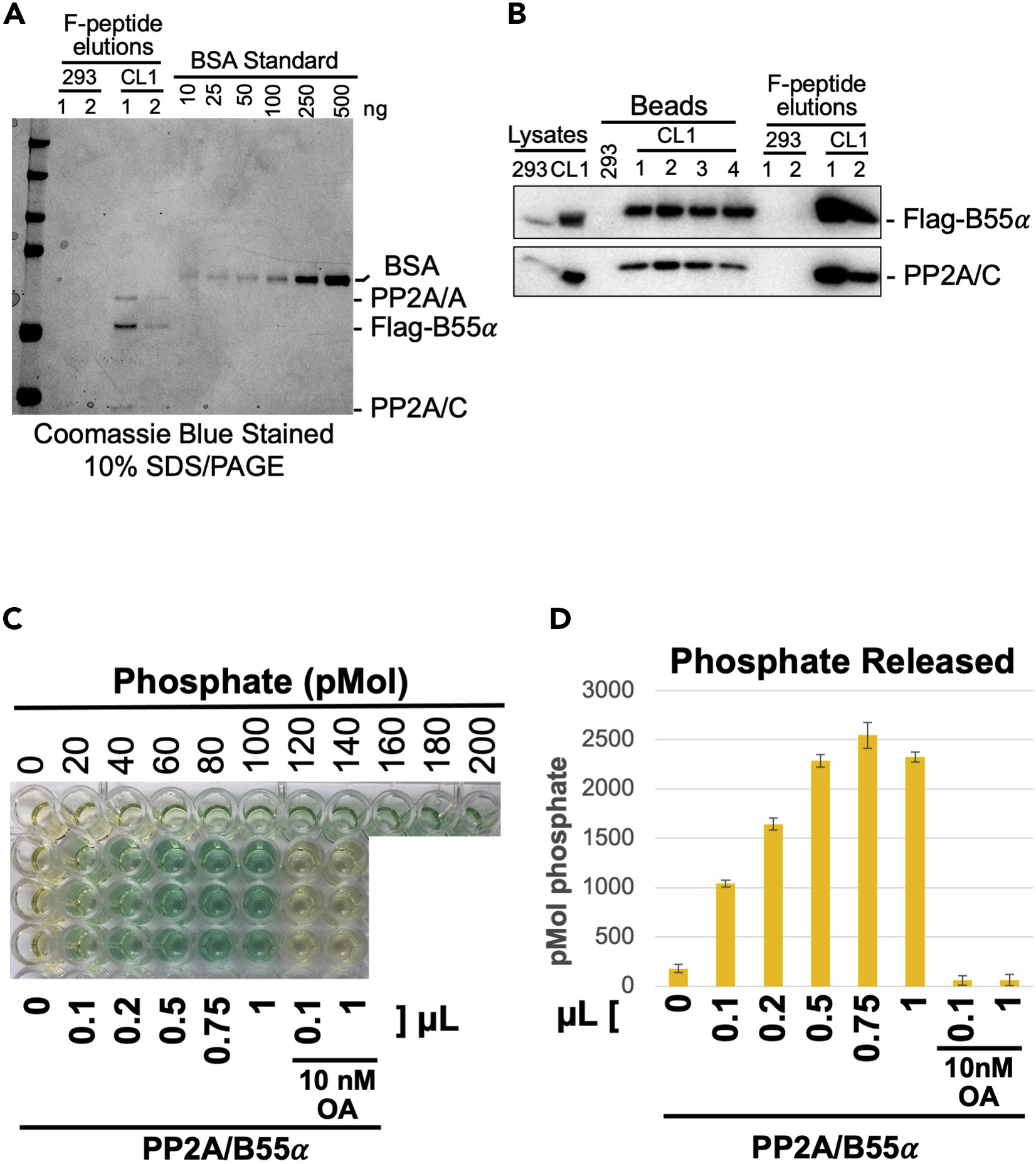 Cell Press: STAR Protocols