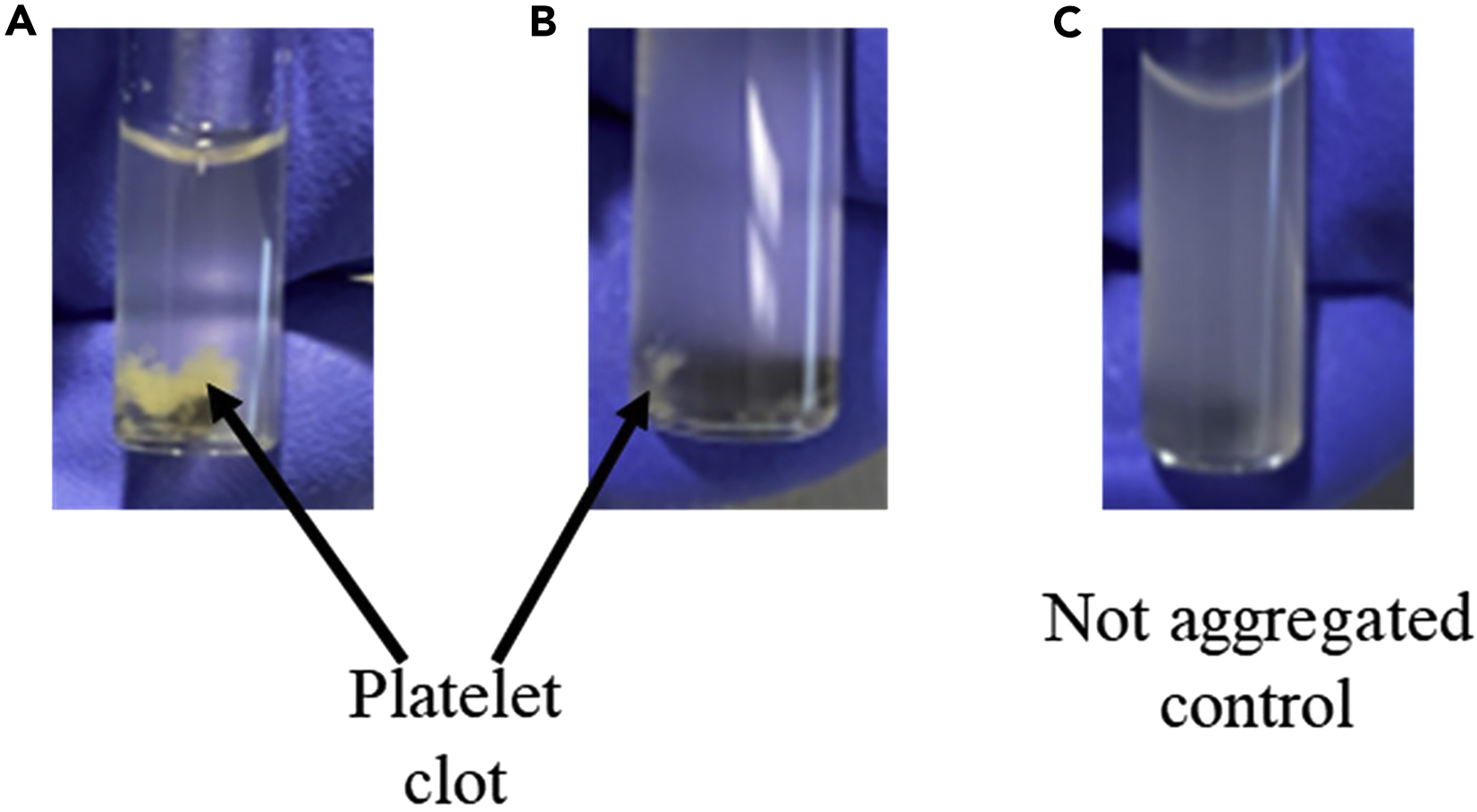 Cell Press: STAR Protocols