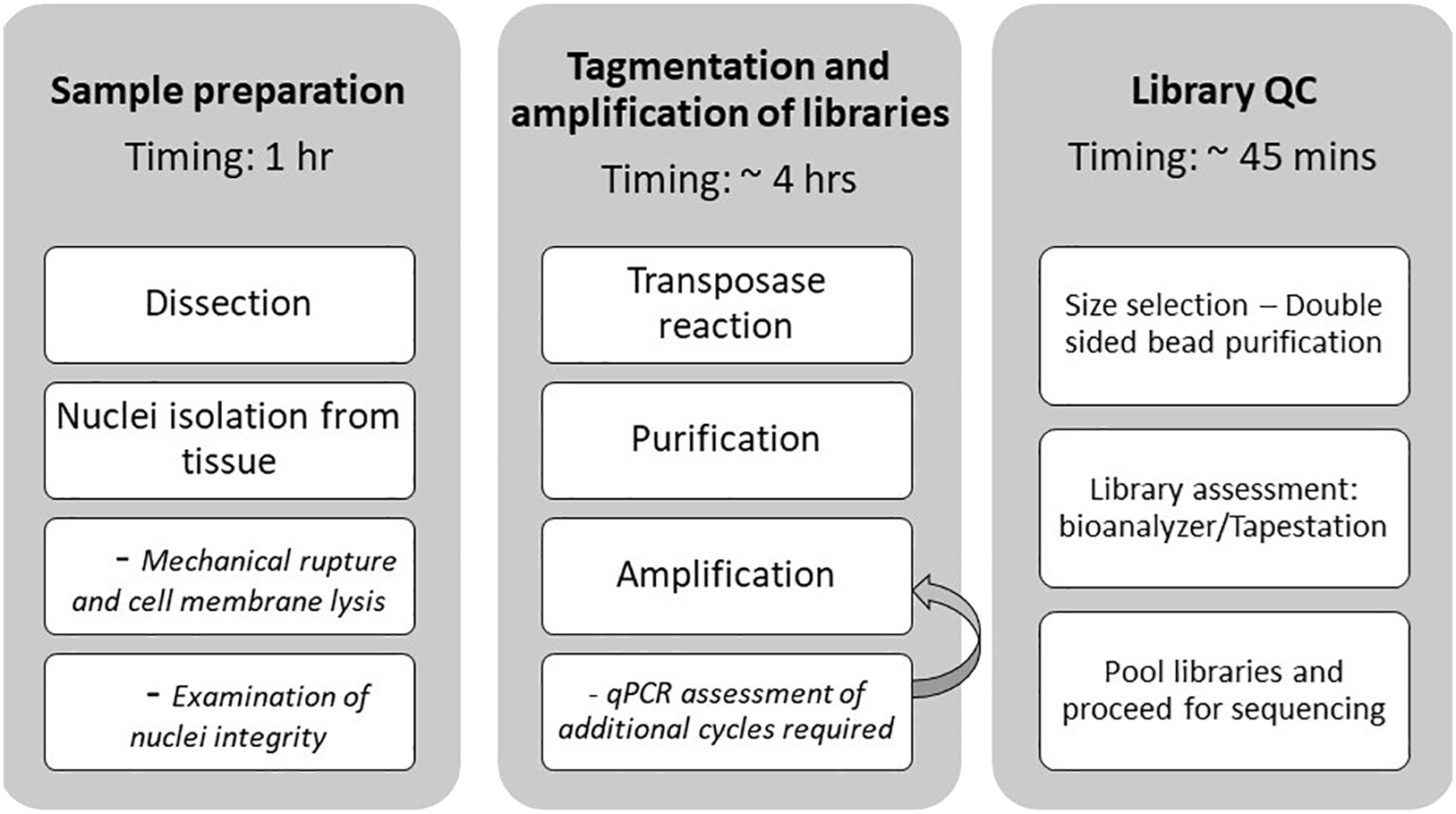 Cell Press: STAR Protocols