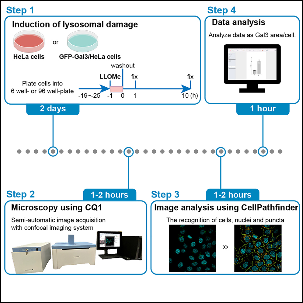 Cell Press: STAR Protocols