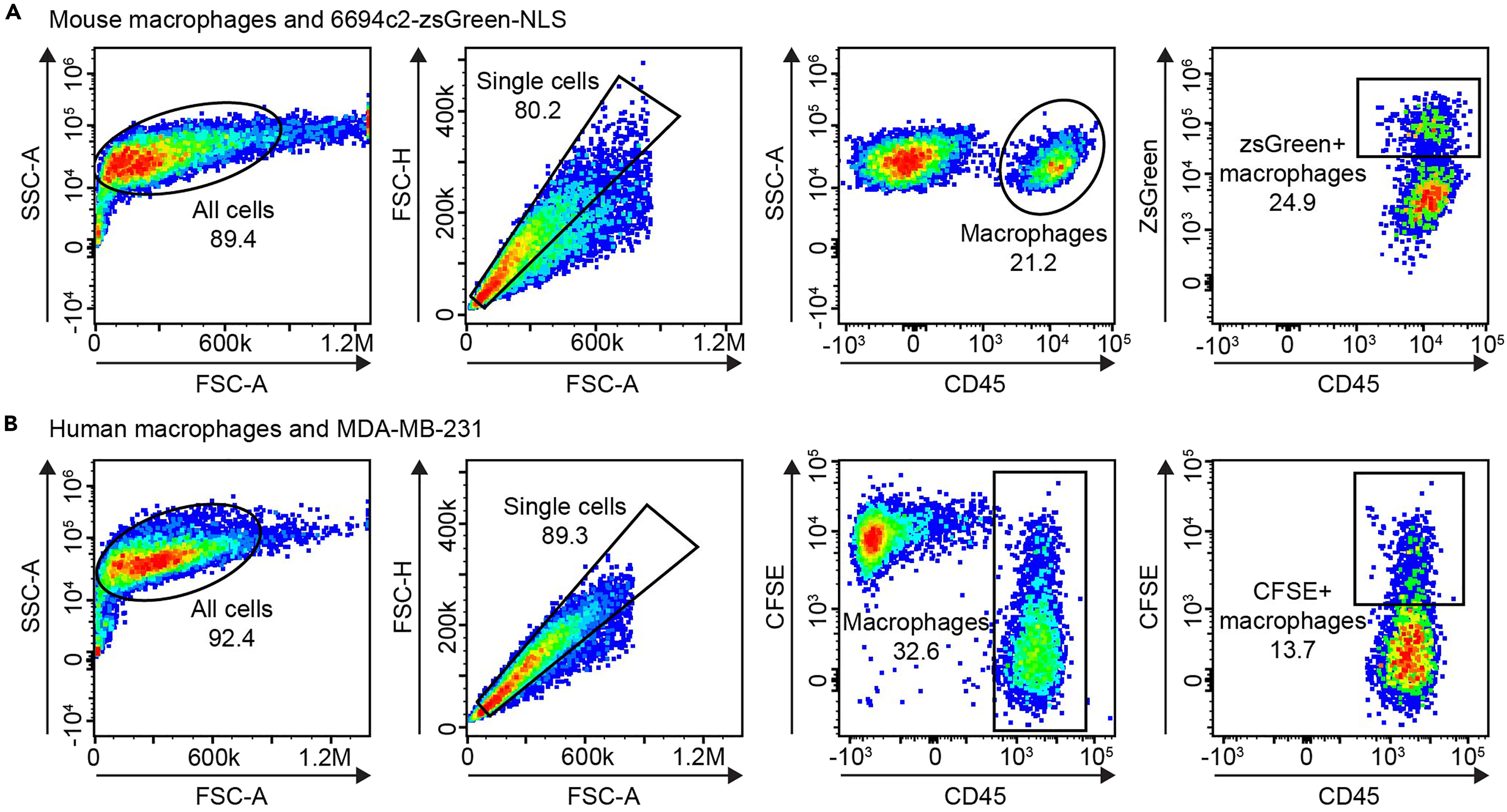 Cell Press: STAR Protocols