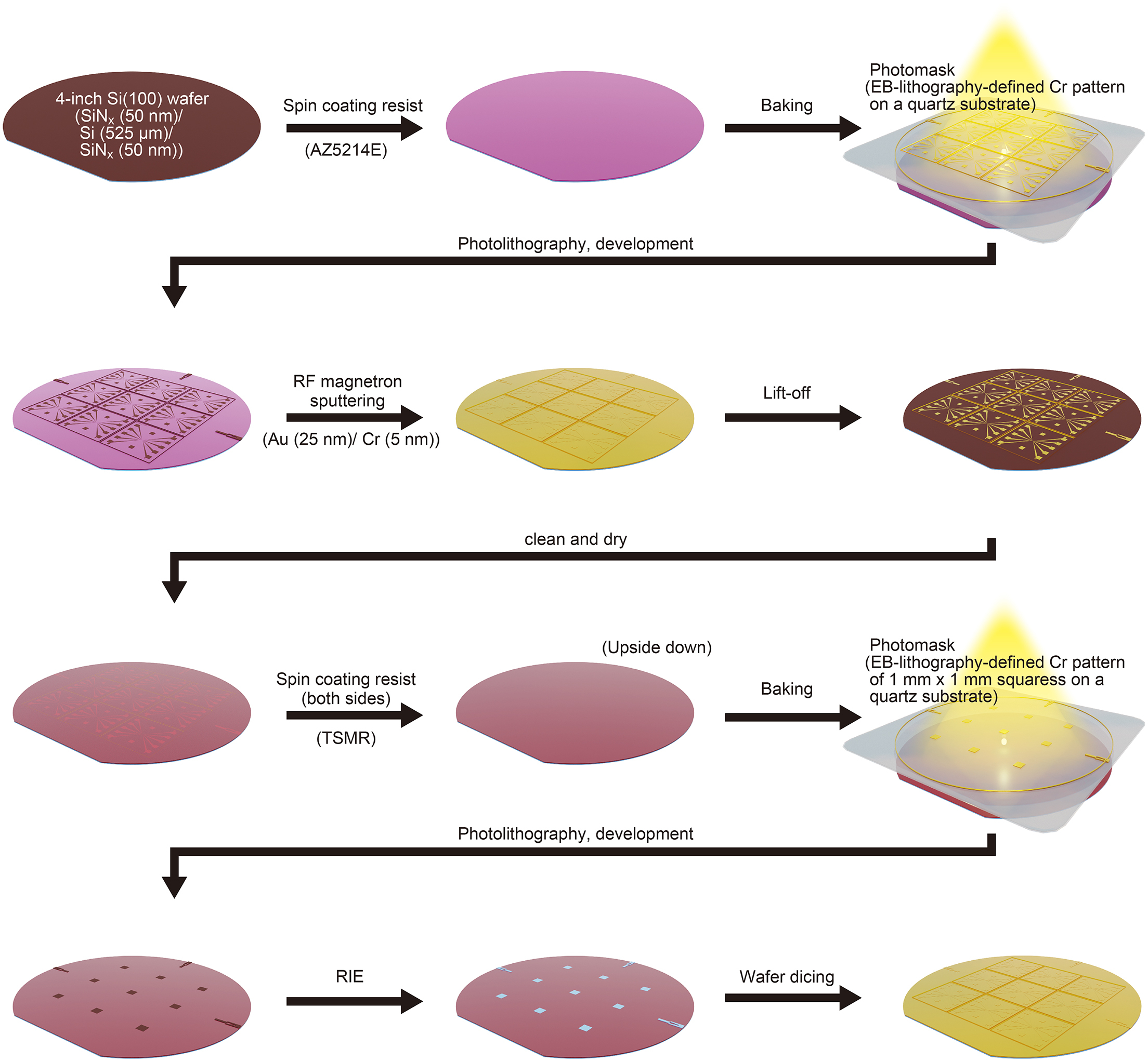 Cell Press: STAR Protocols