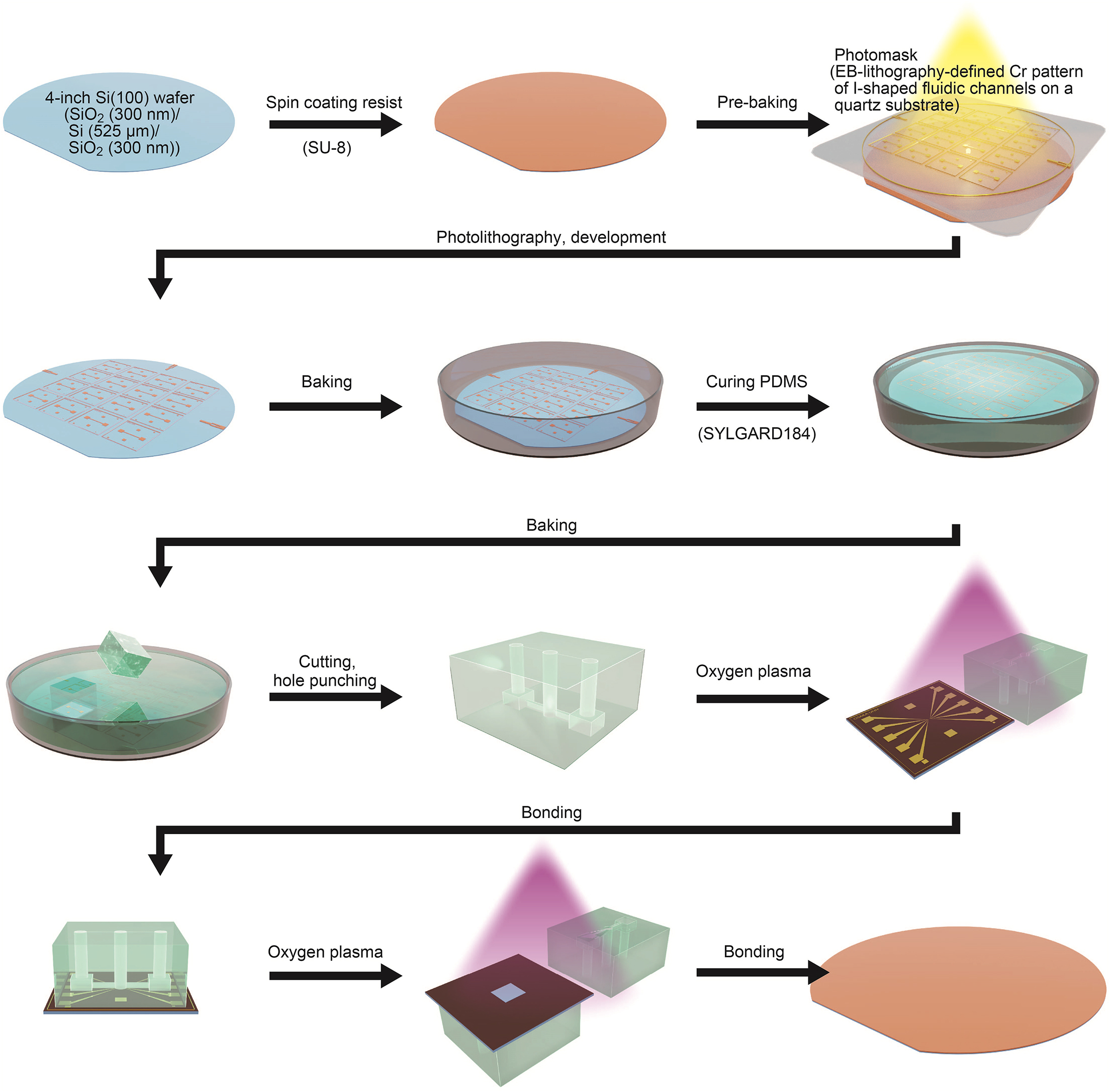 Cell Press: STAR Protocols