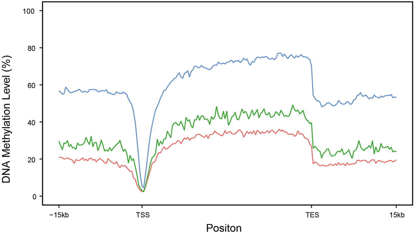 Cell Press: STAR Protocols