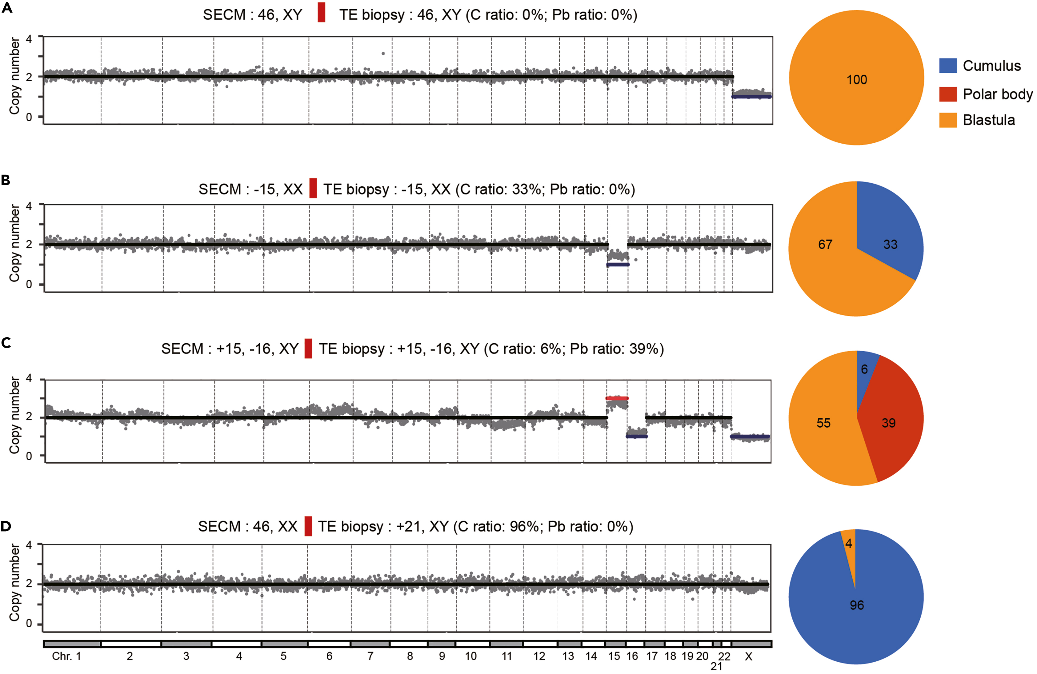 Cell Press: STAR Protocols