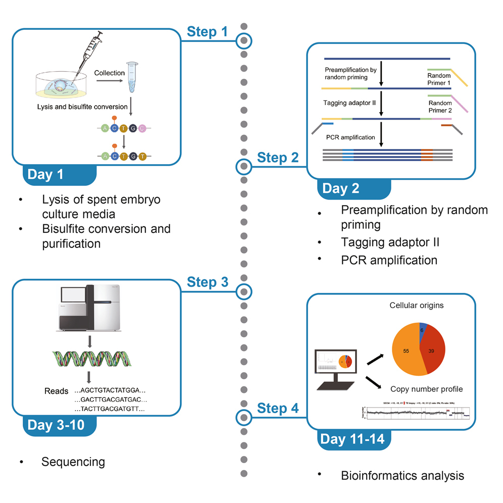 Cell Press: STAR Protocols