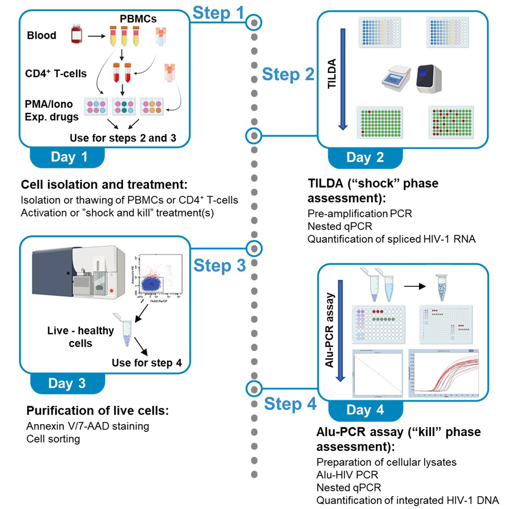 Cell Press: STAR Protocols