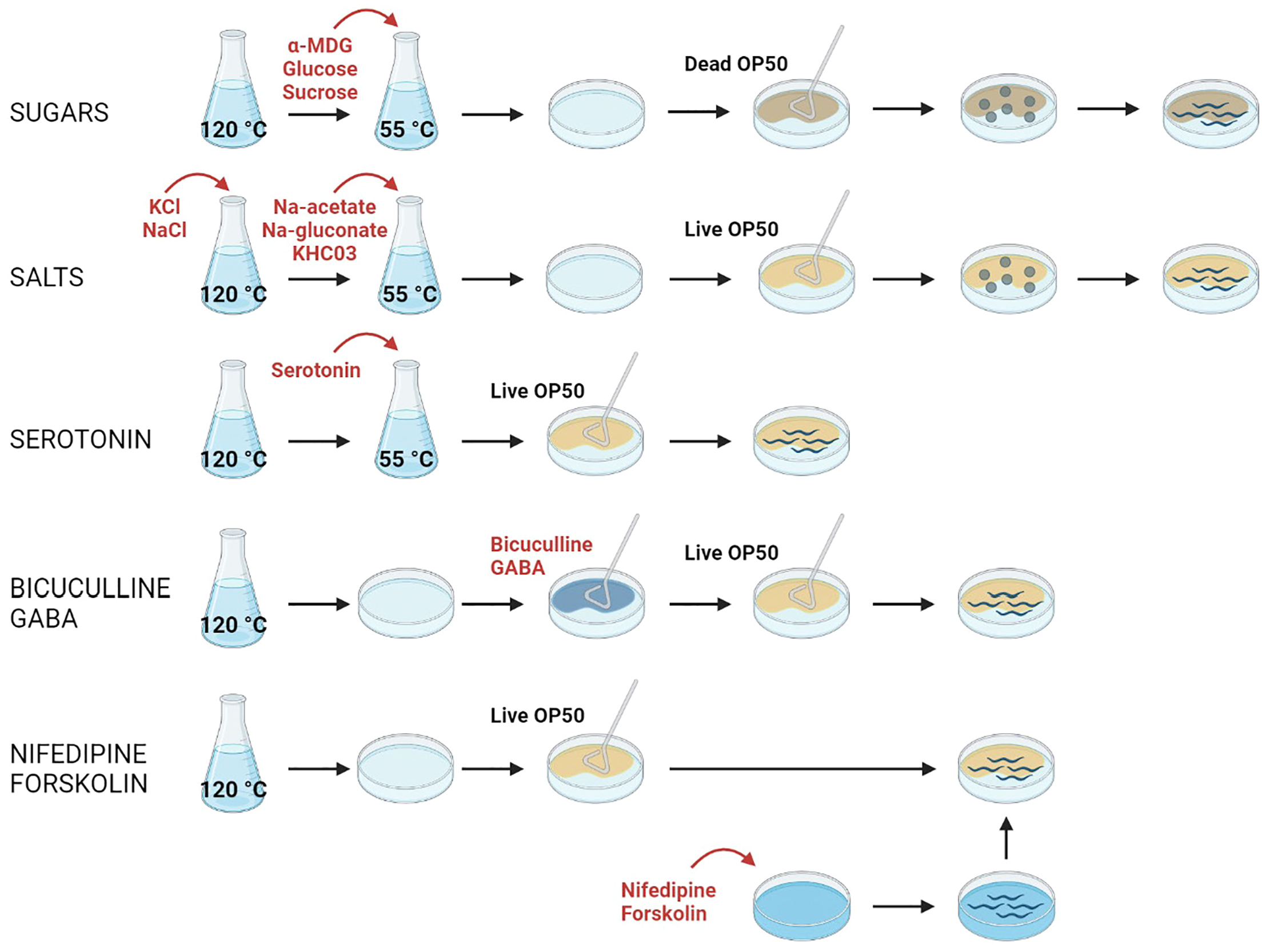 Cell Press: STAR Protocols