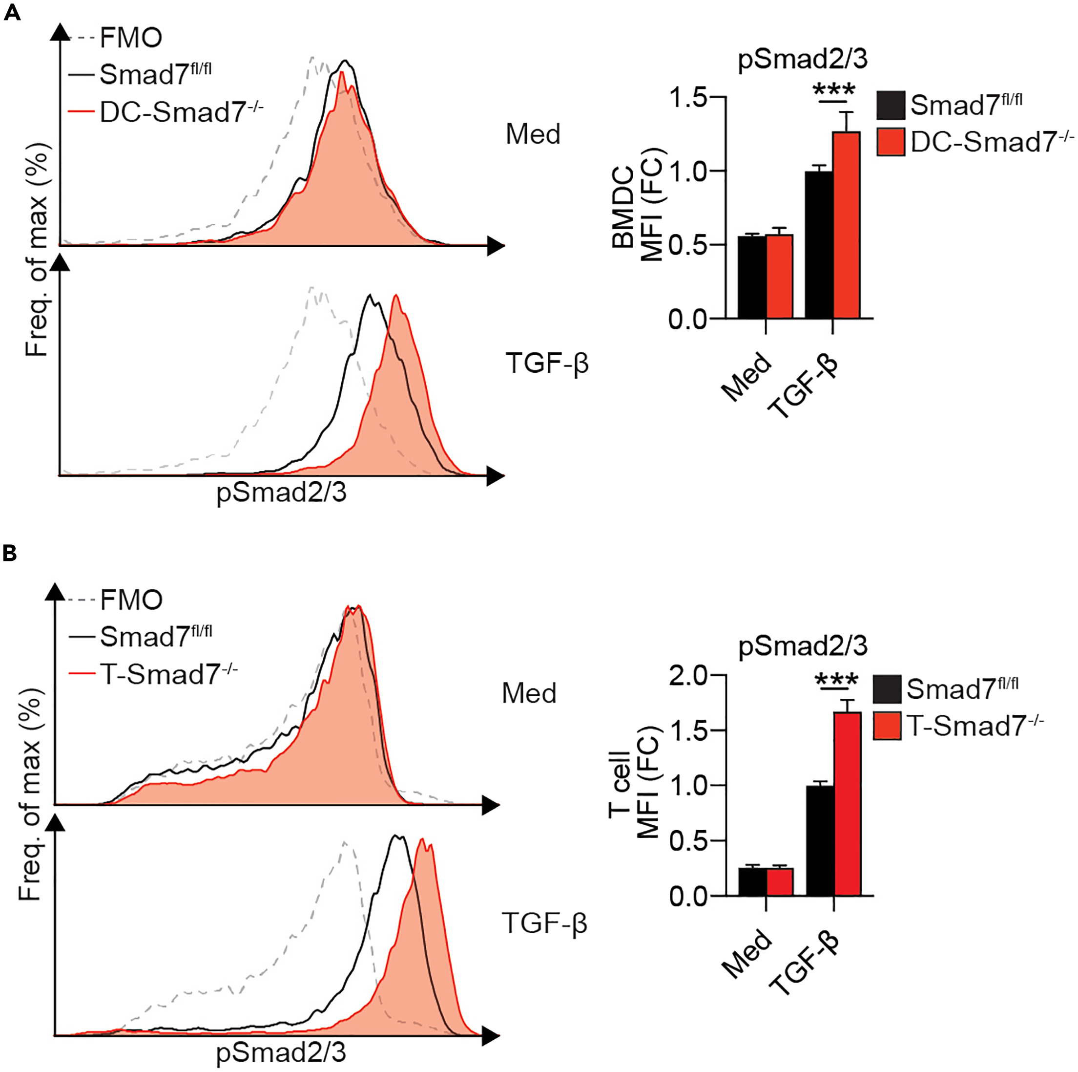 Cell Press: STAR Protocols