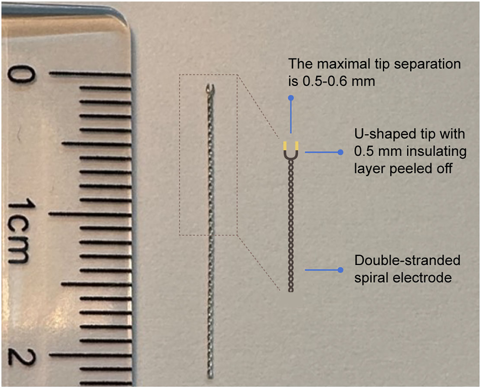 Cell Press: STAR Protocols