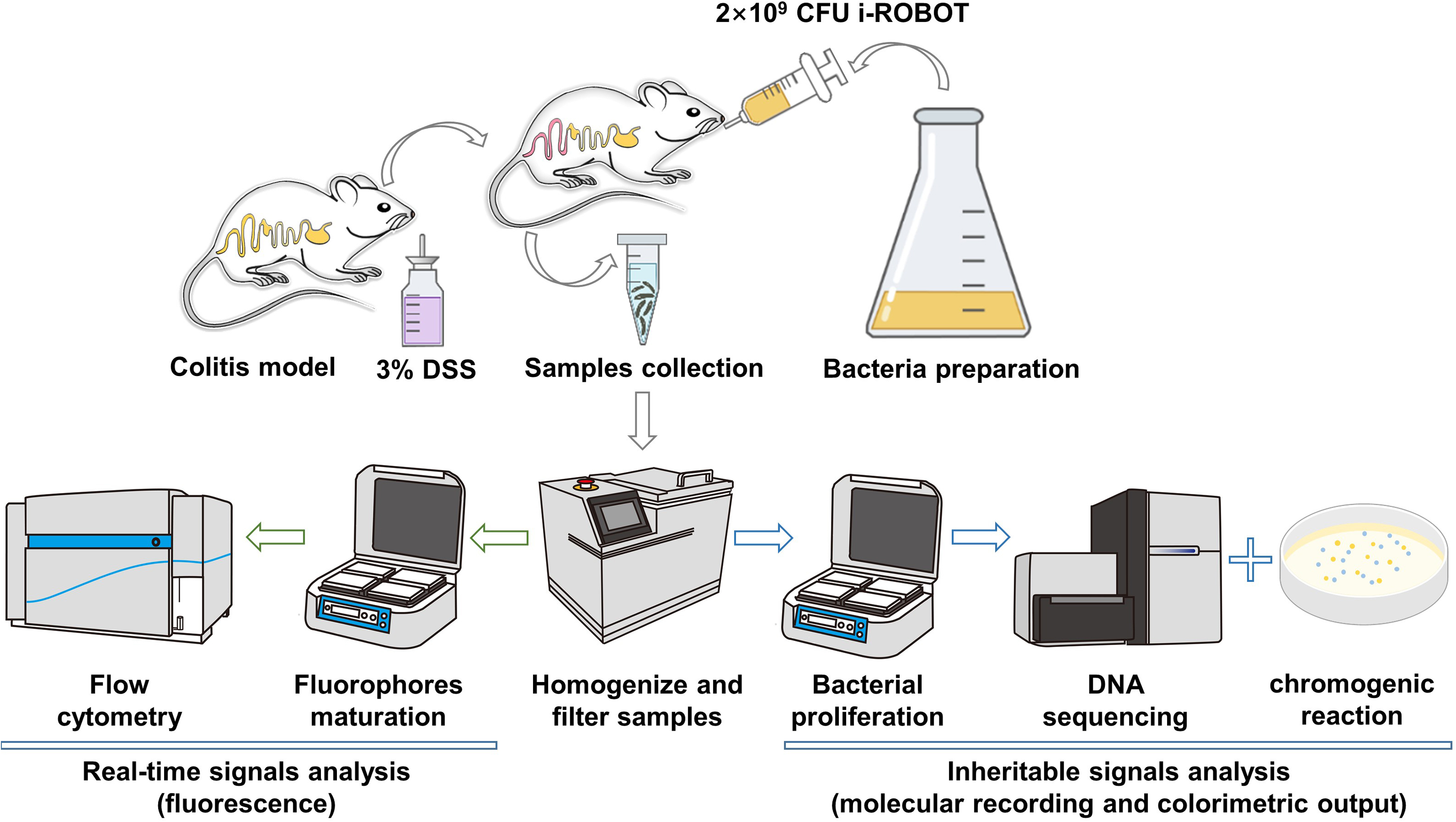 Cell Press: STAR Protocols