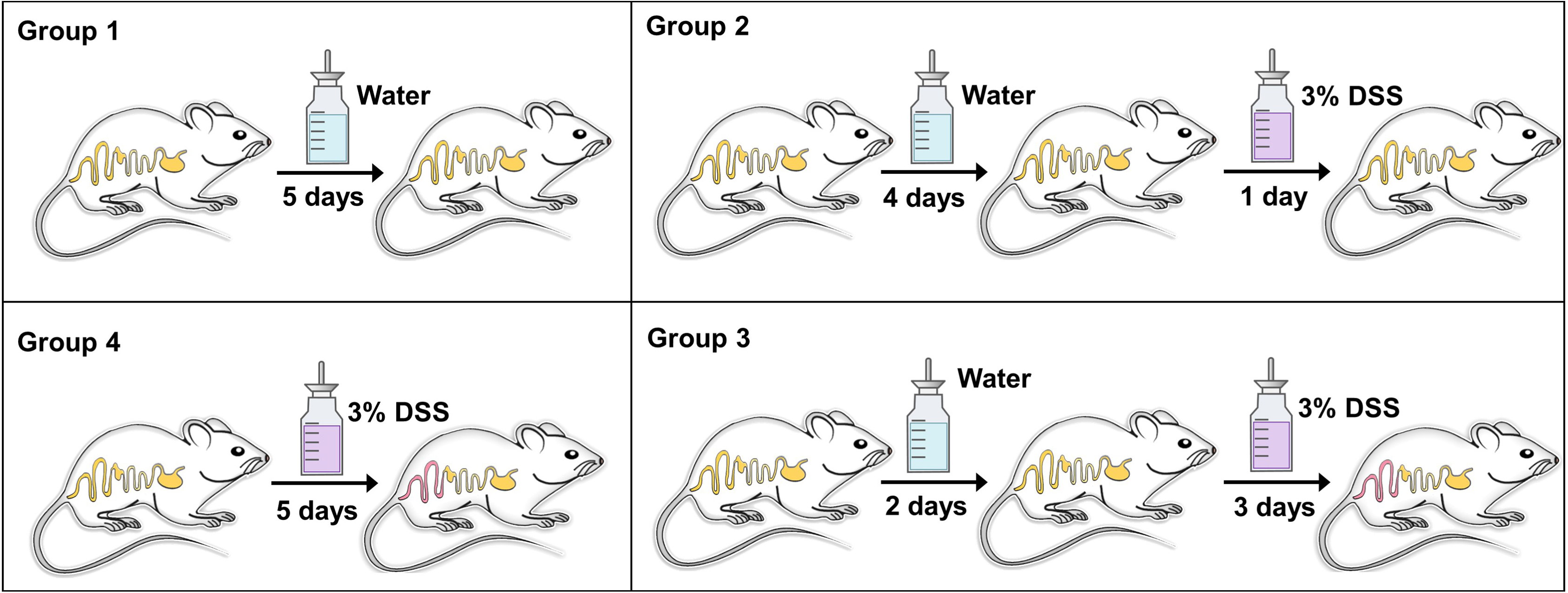 Cell Press: STAR Protocols