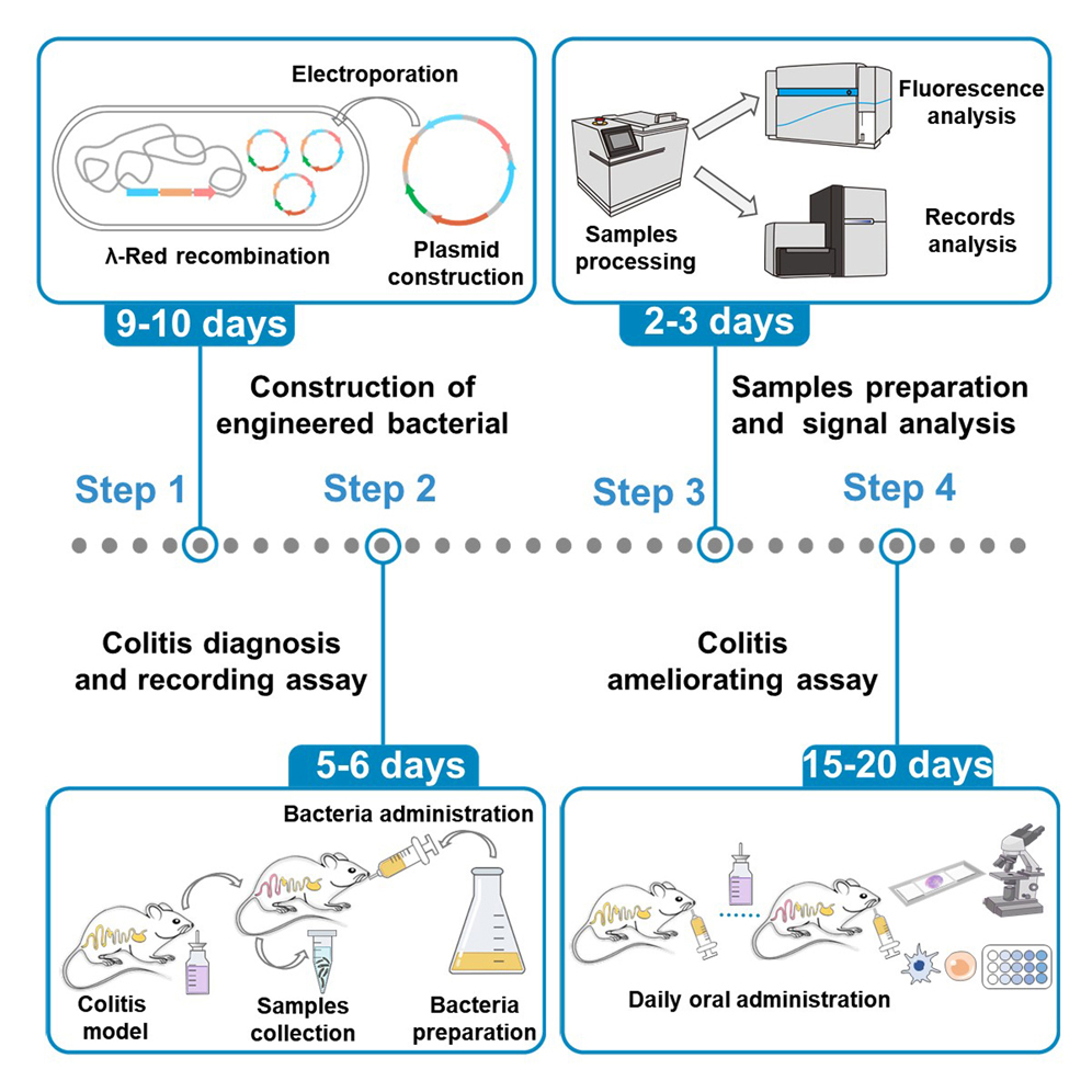Cell Press: STAR Protocols