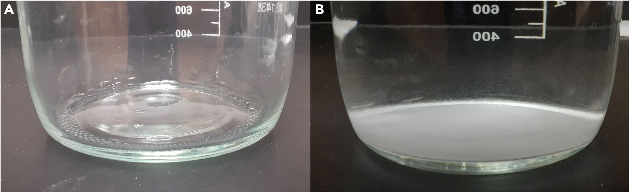 Cell Press: STAR Protocols