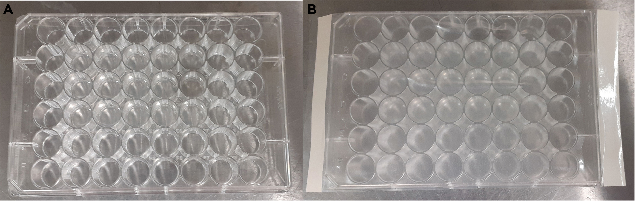 Cell Press: STAR Protocols