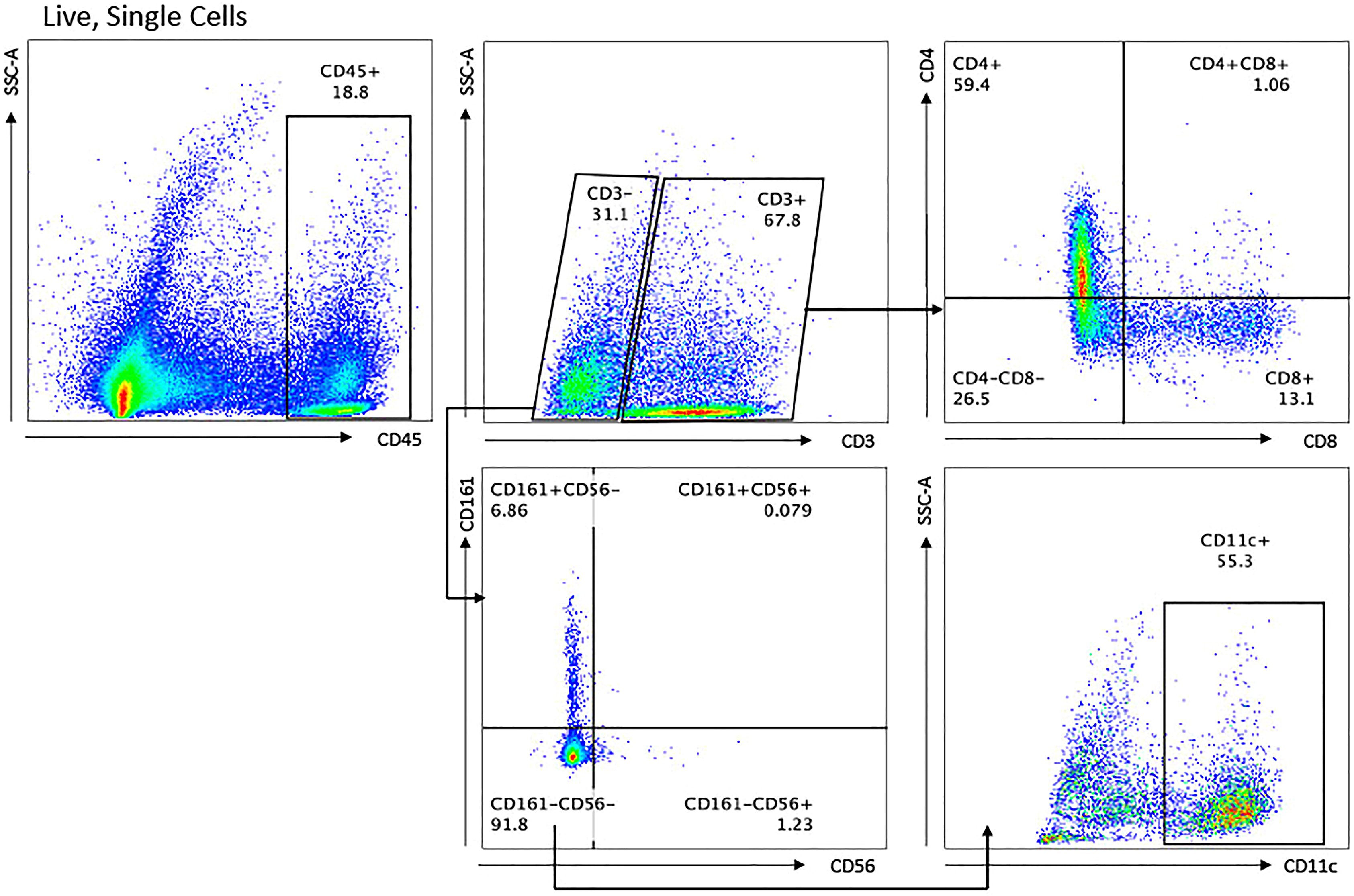 Cell Press: STAR Protocols
