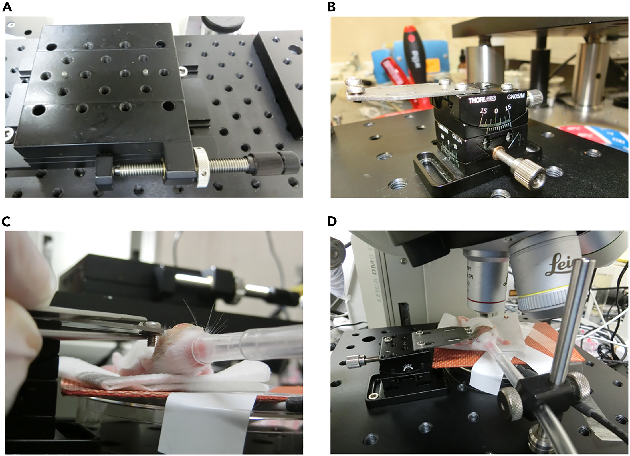Cell Press: STAR Protocols