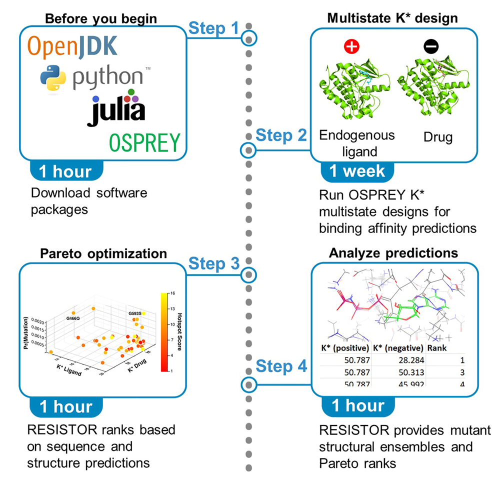Cell Press: STAR Protocols