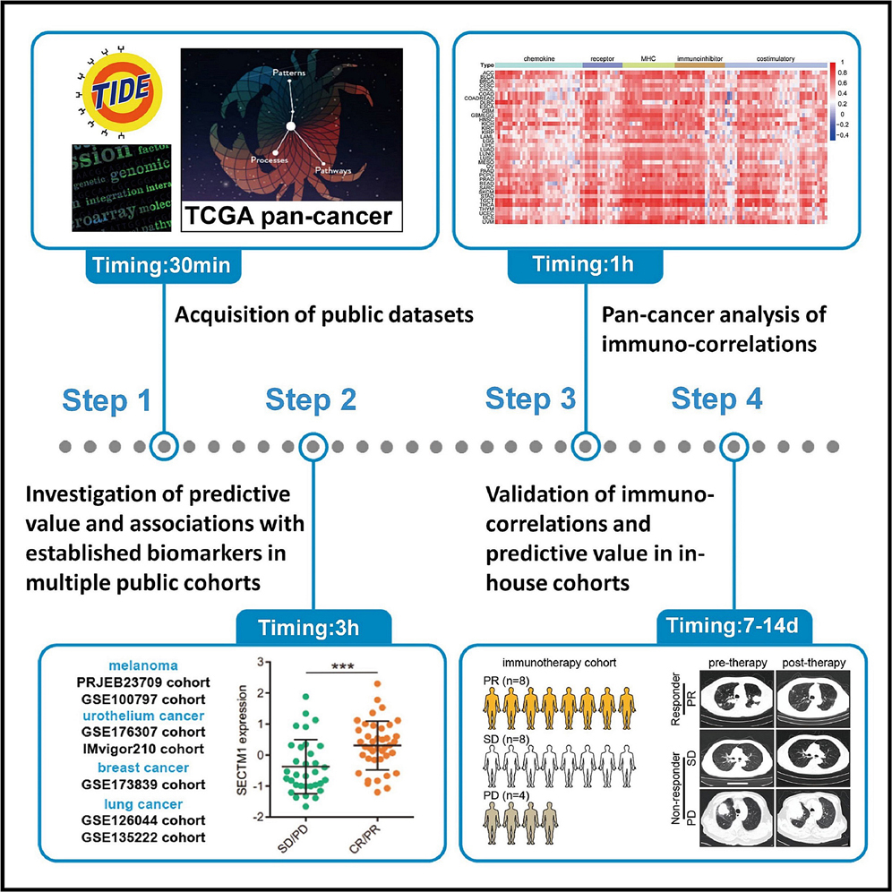 Cell Press: STAR Protocols