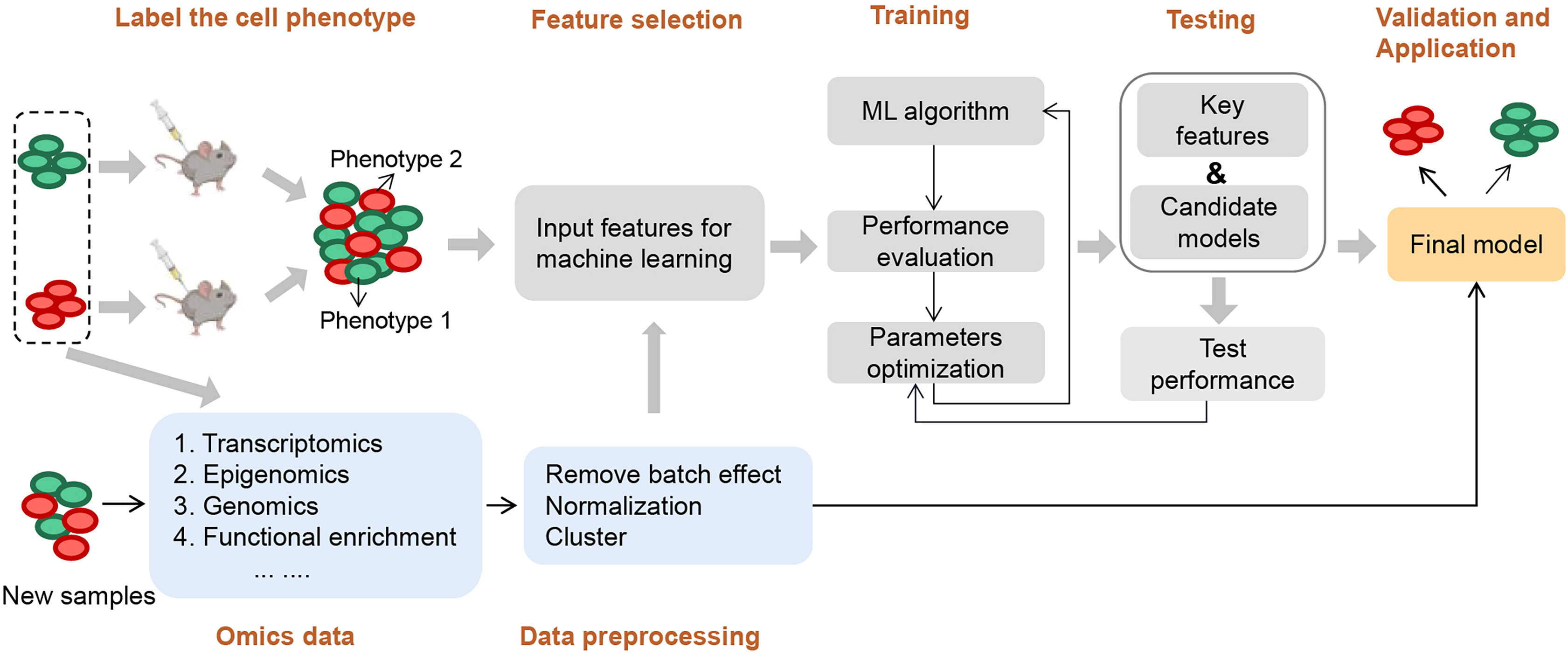 Cell Press: STAR Protocols