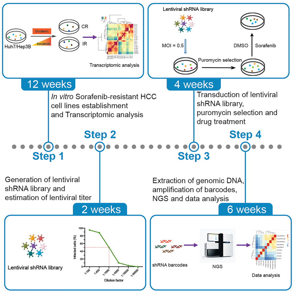 Cell Press: STAR Protocols