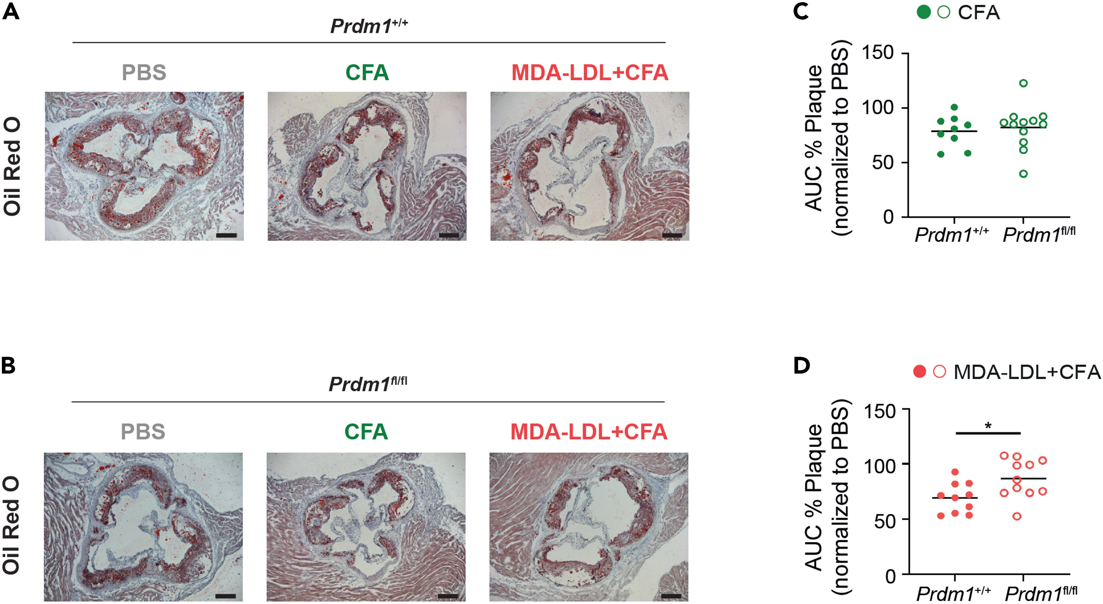 Cell Press: STAR Protocols