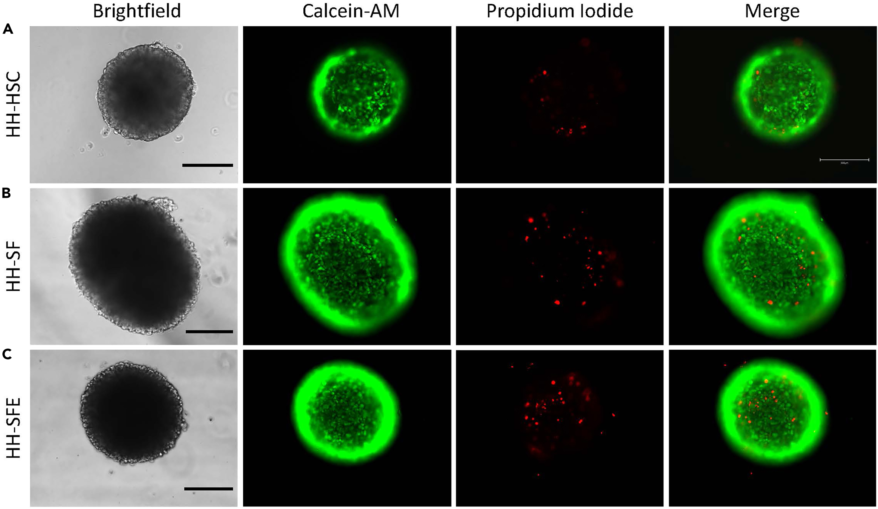 Cell Press: STAR Protocols