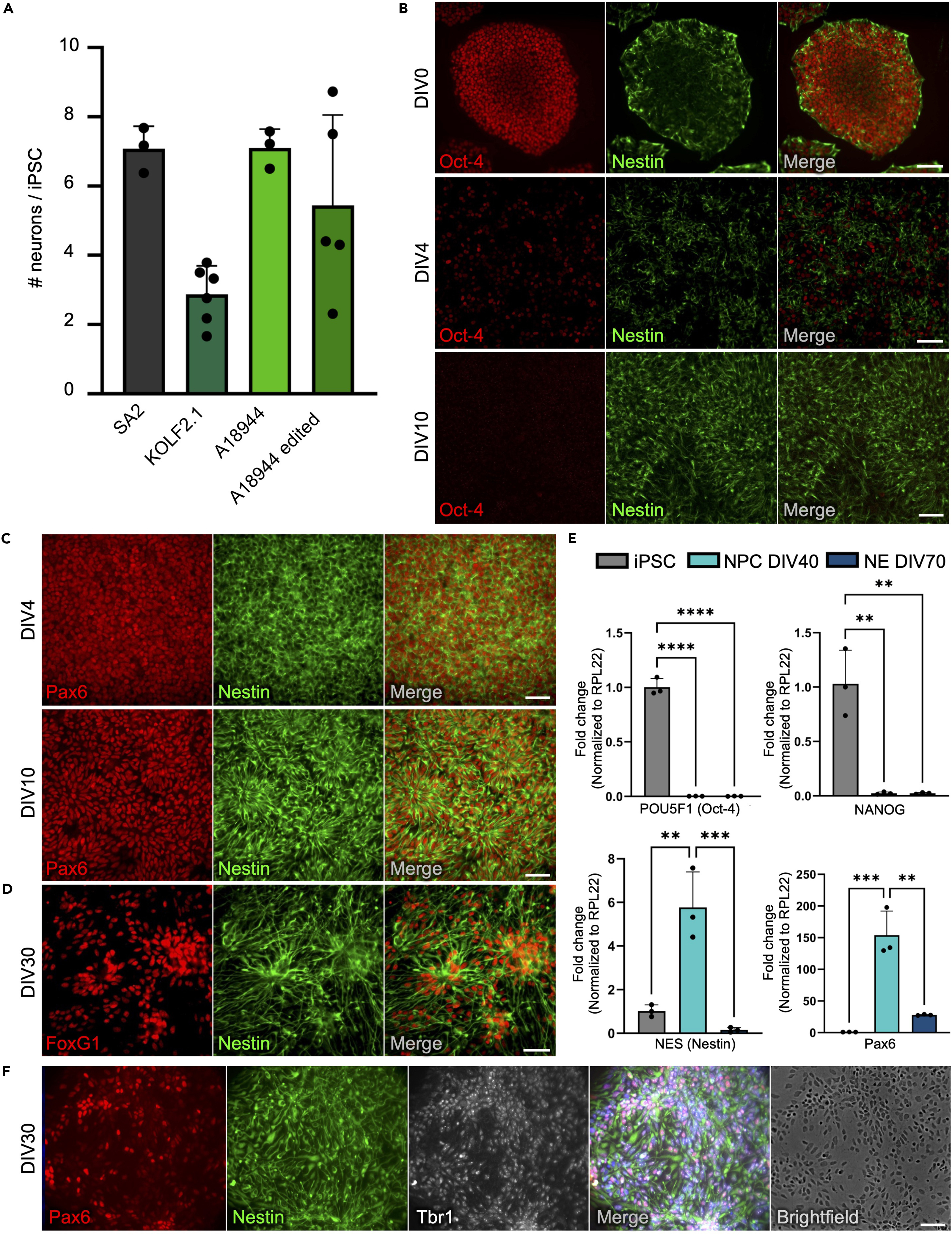 Cell Press: STAR Protocols