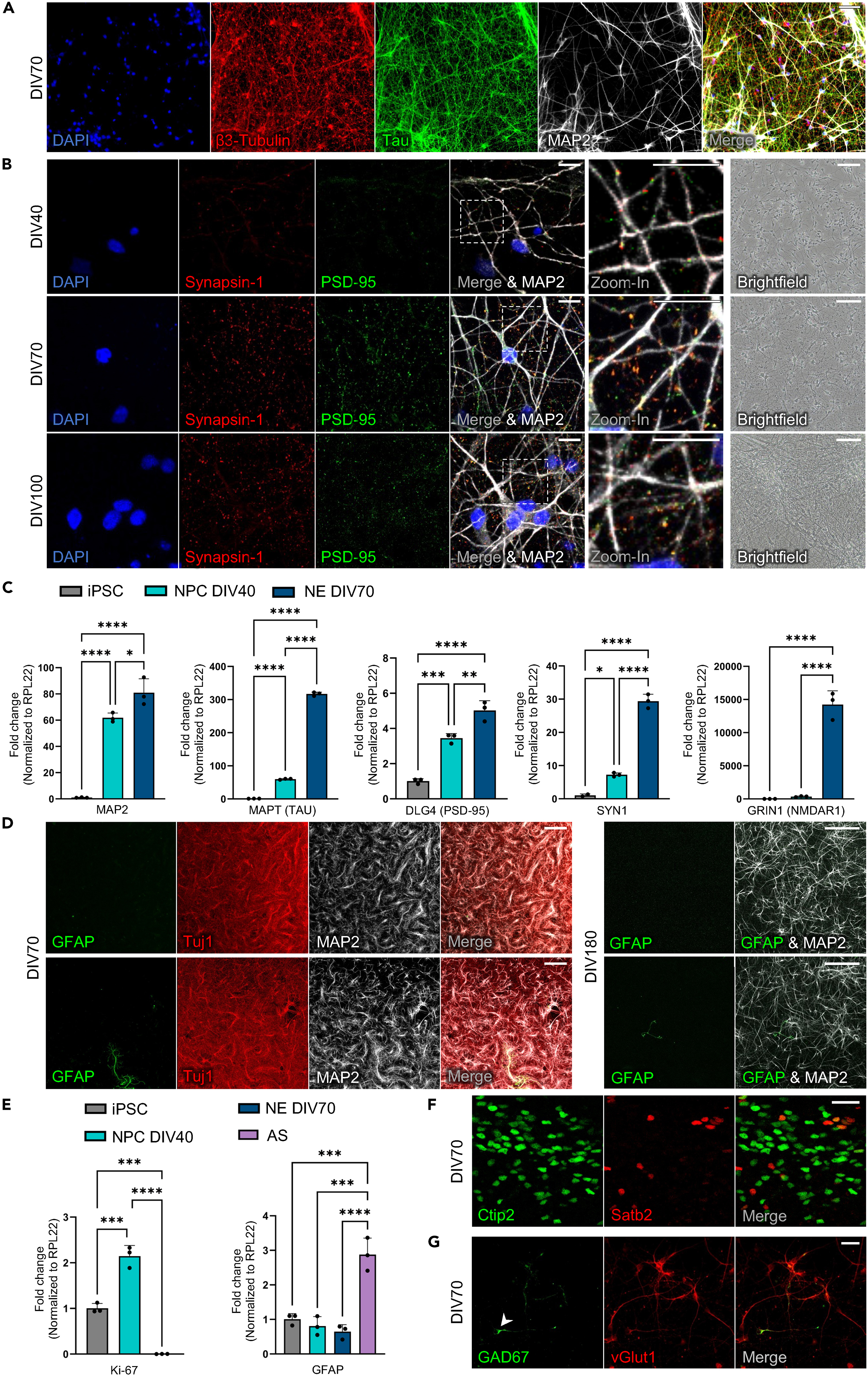 Cell Press: STAR Protocols