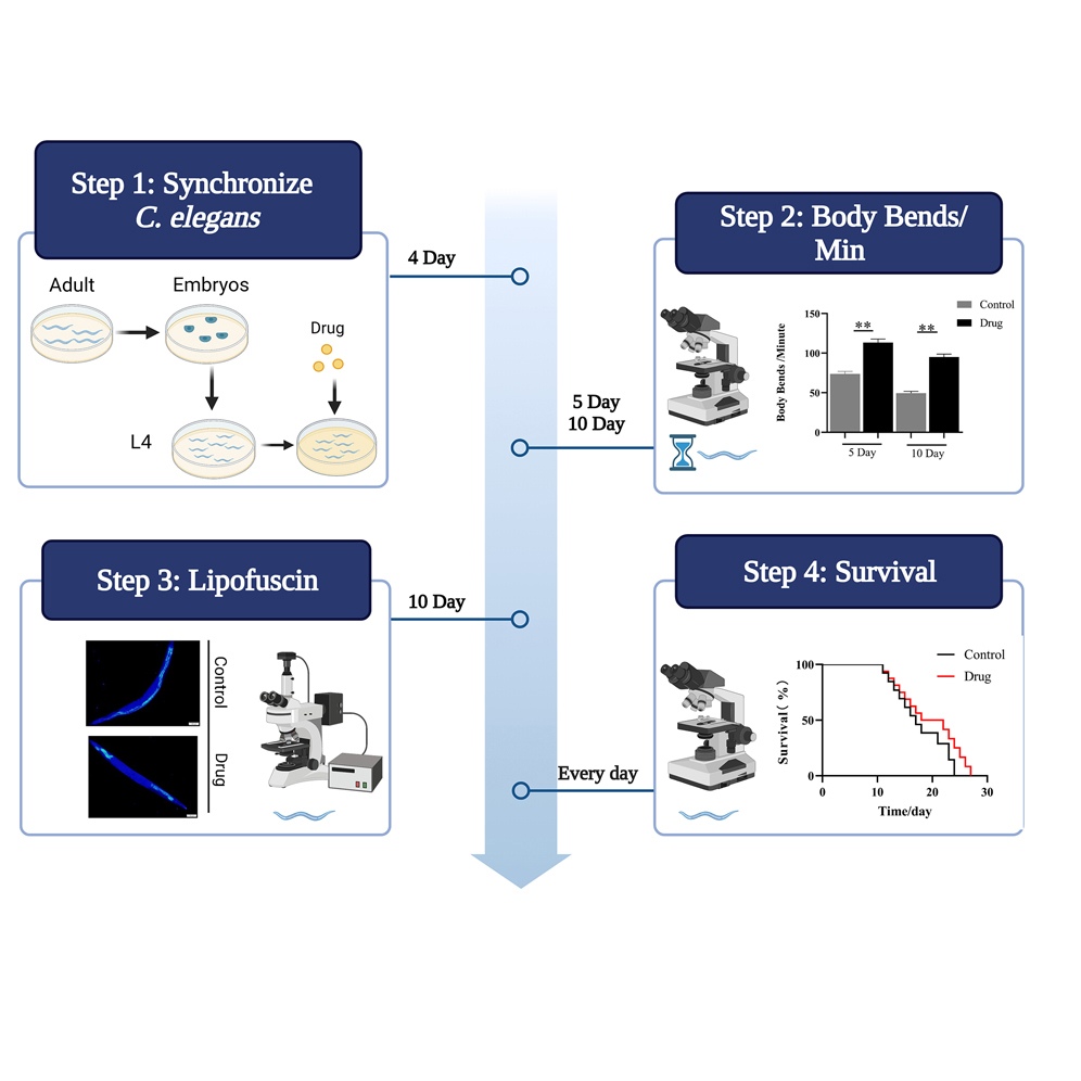 Cell Press: STAR Protocols