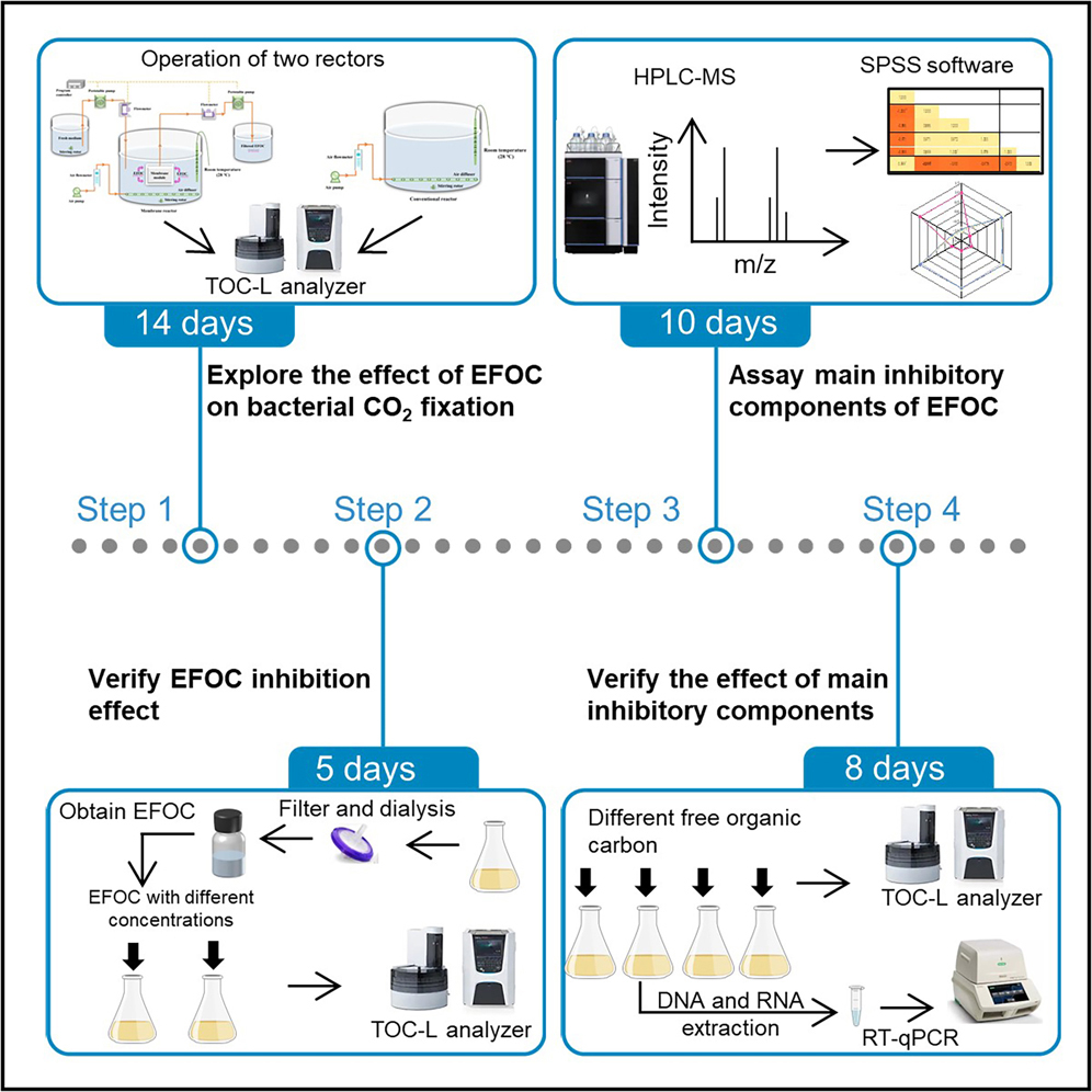Cell Press: STAR Protocols