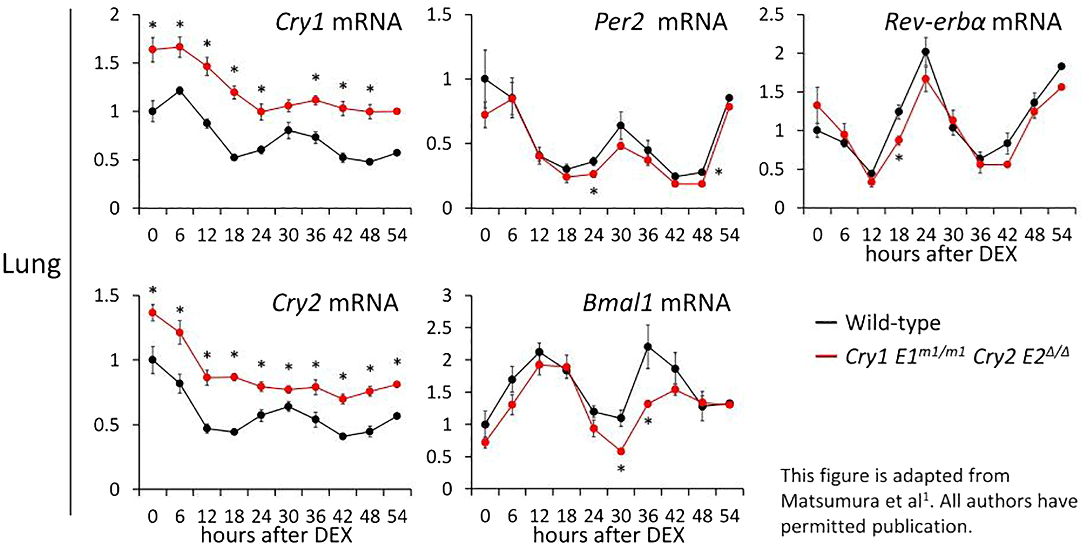 Cell Press: STAR Protocols