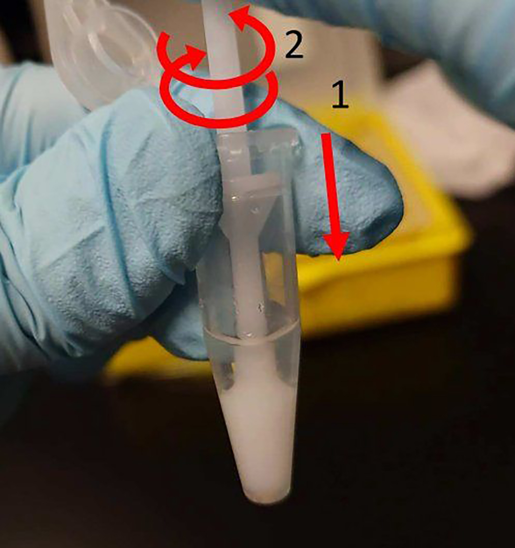 Cell Press: STAR Protocols