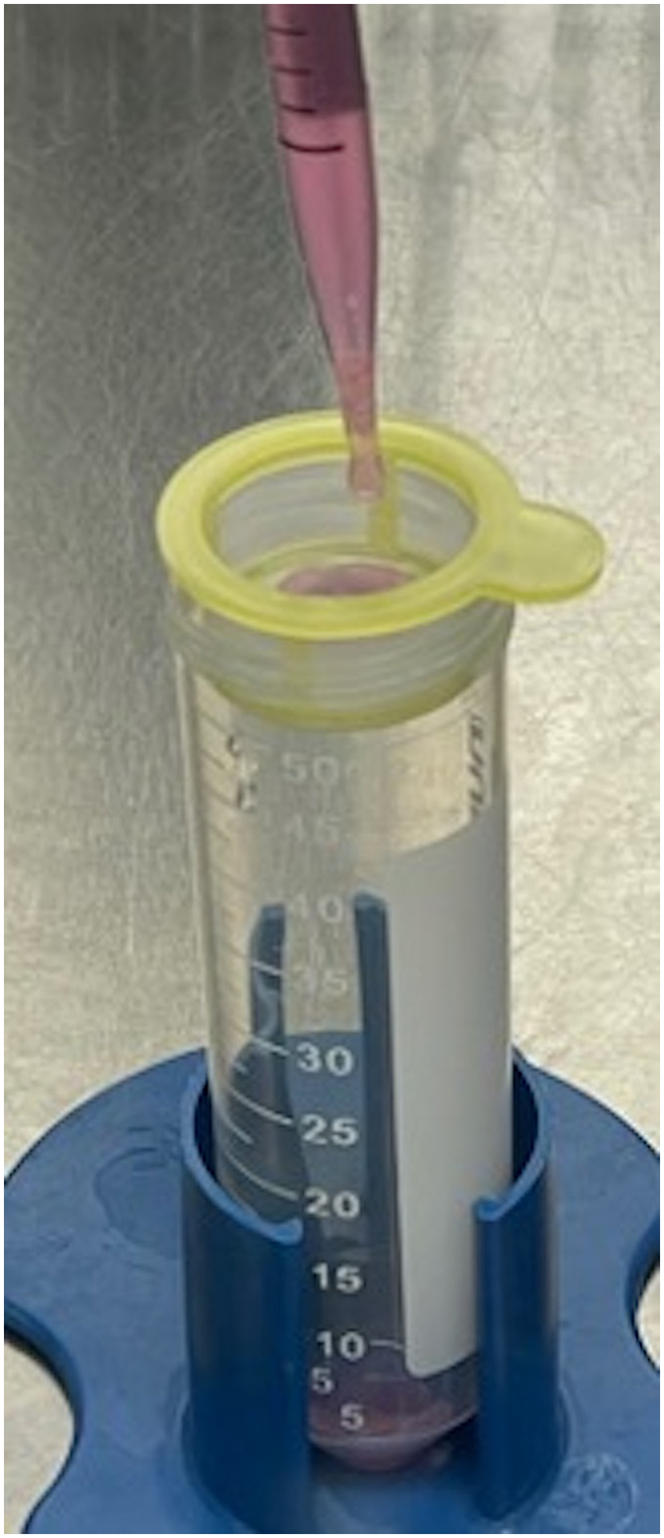 Cell Press: STAR Protocols