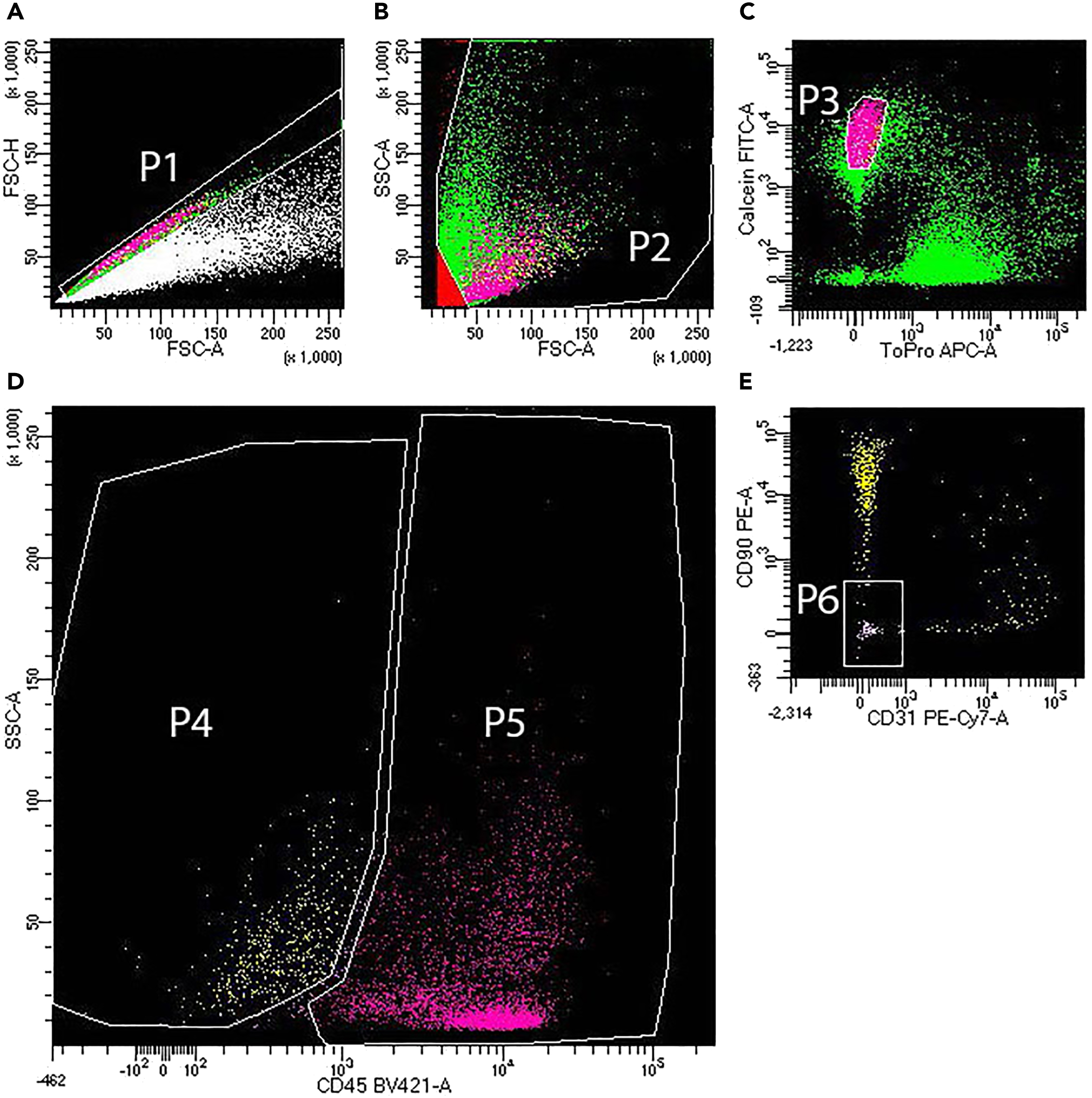 Cell Press: STAR Protocols