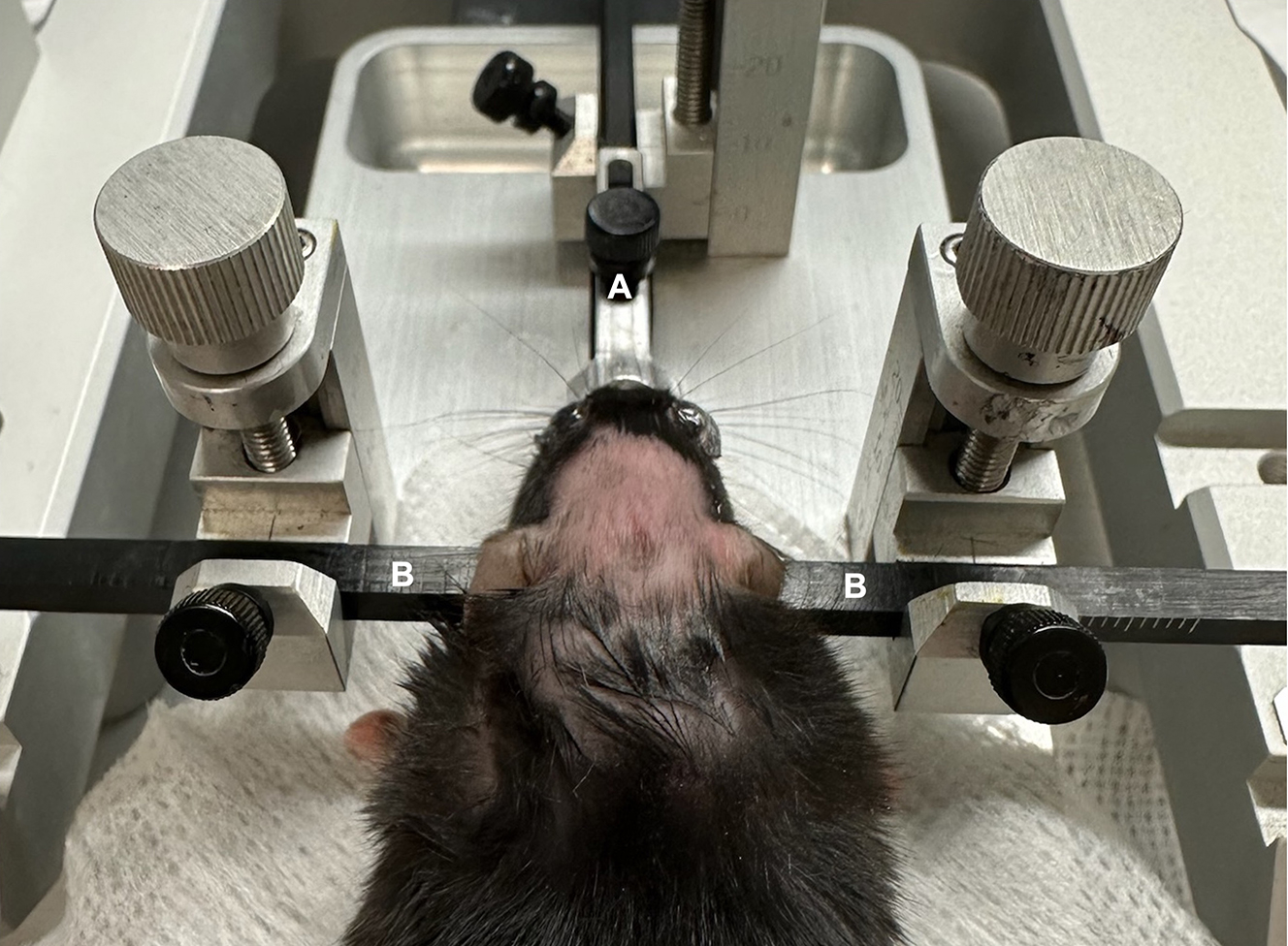 Cell Press: STAR Protocols