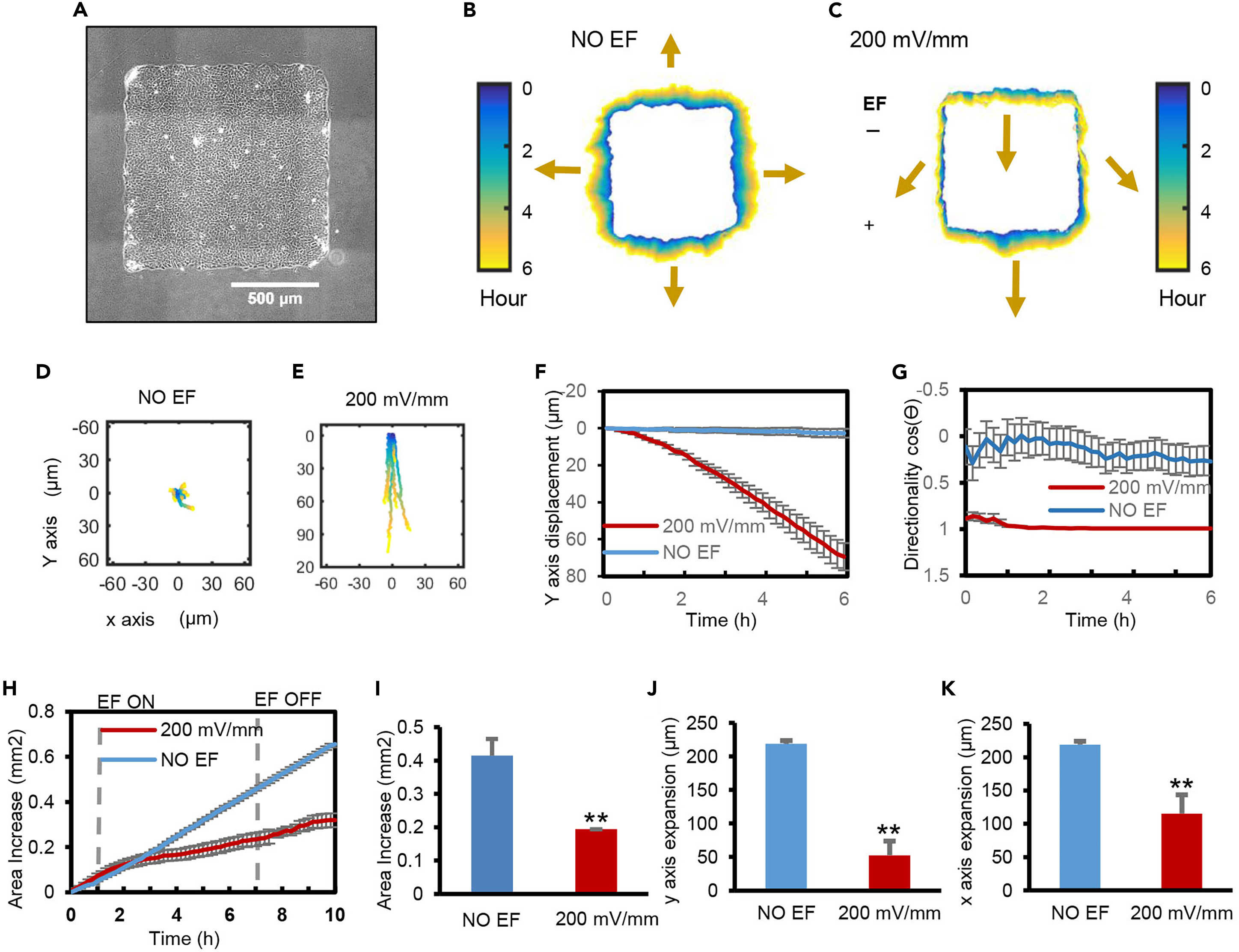 Cell Press: STAR Protocols