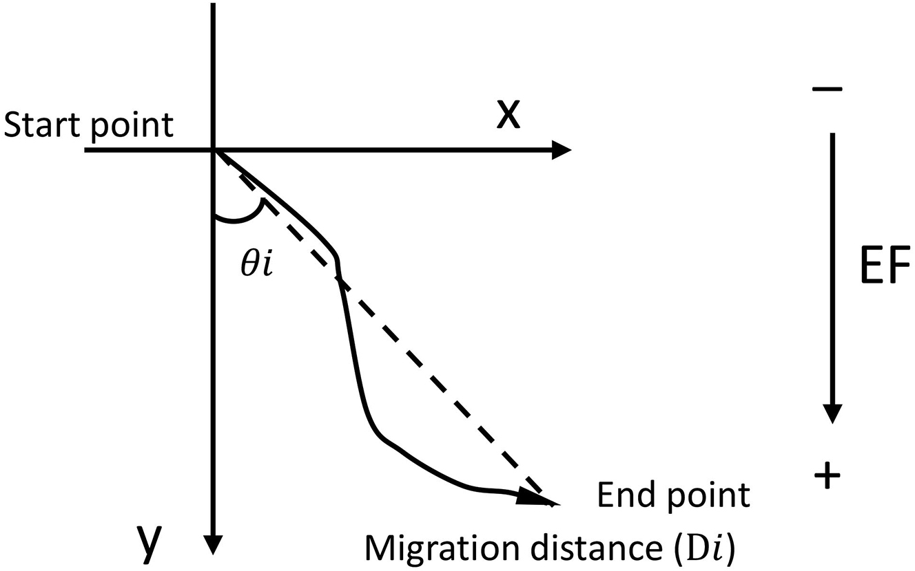 Cell Press: STAR Protocols