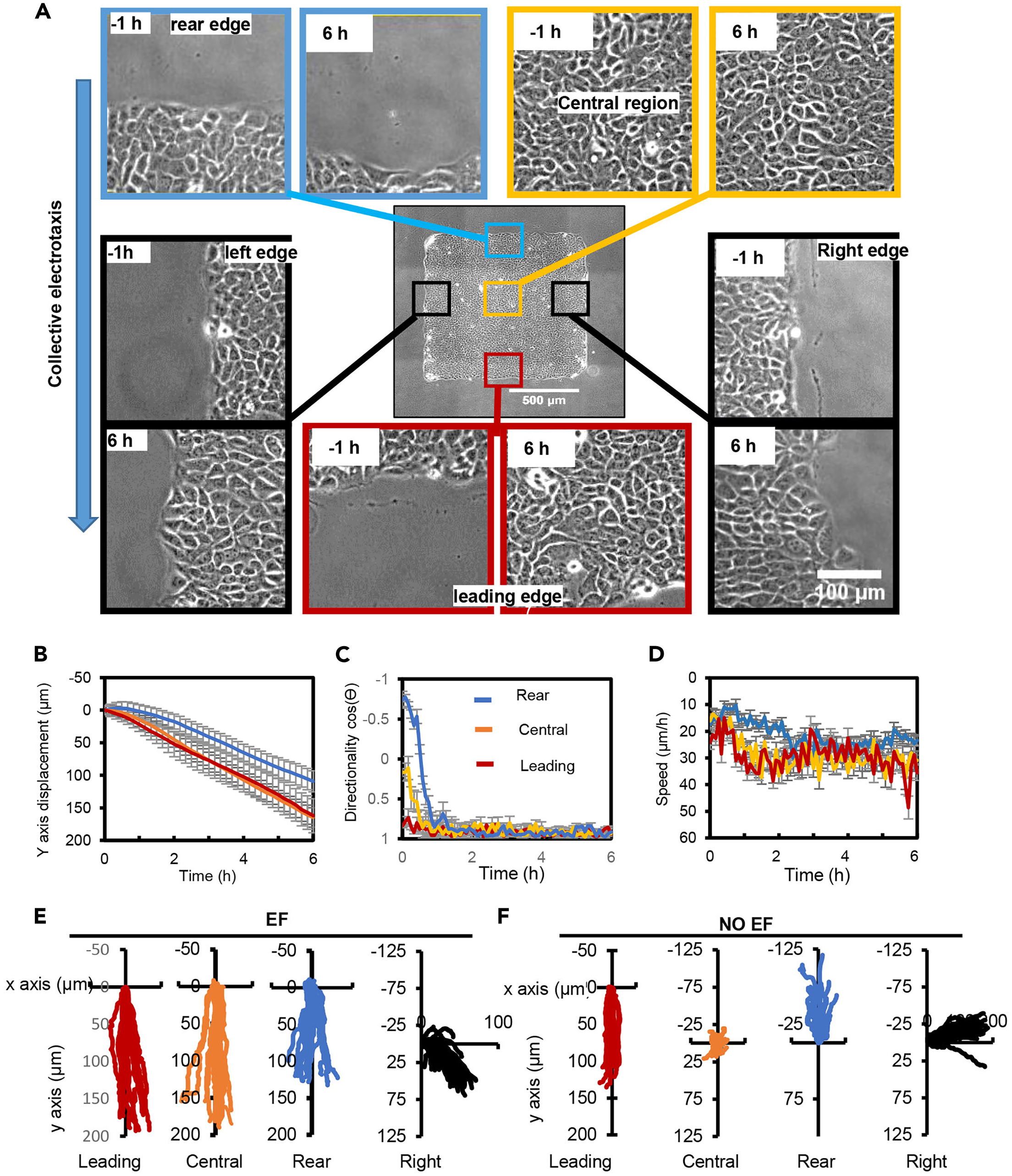 Cell Press: STAR Protocols