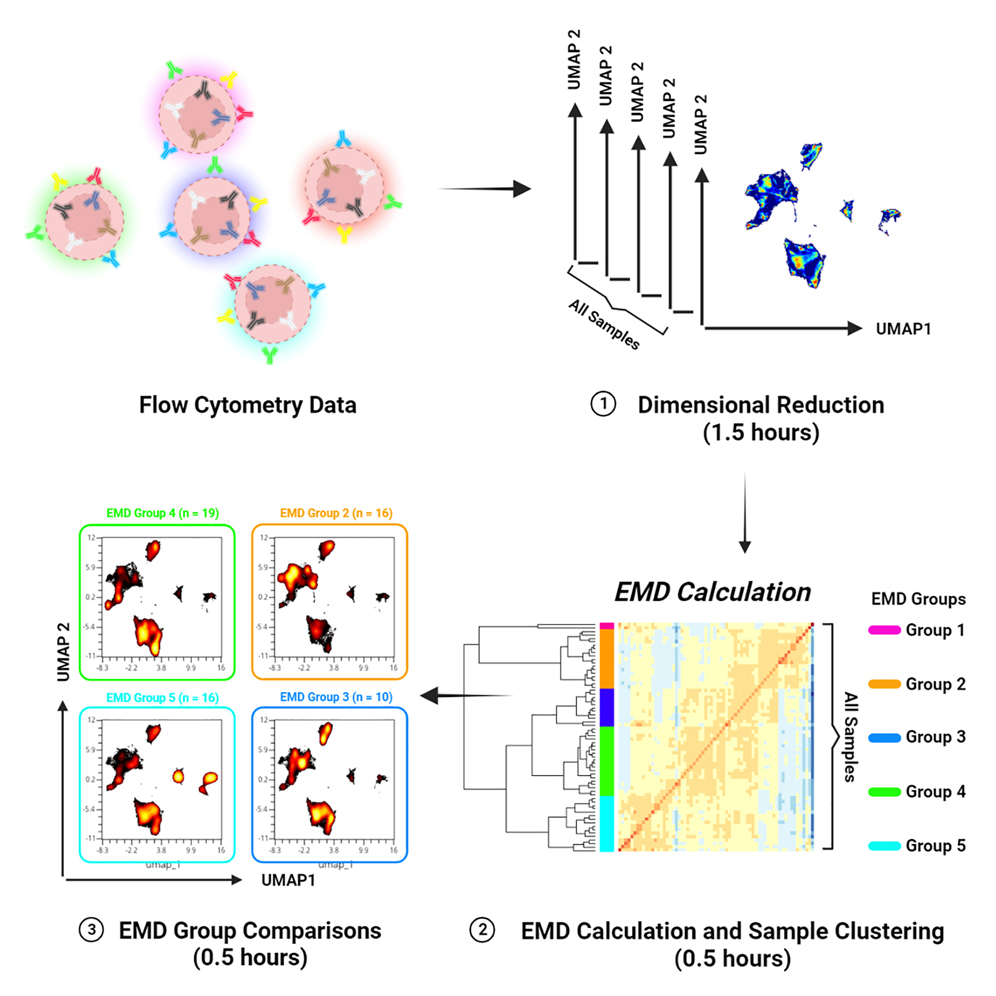 Cell Press: STAR Protocols