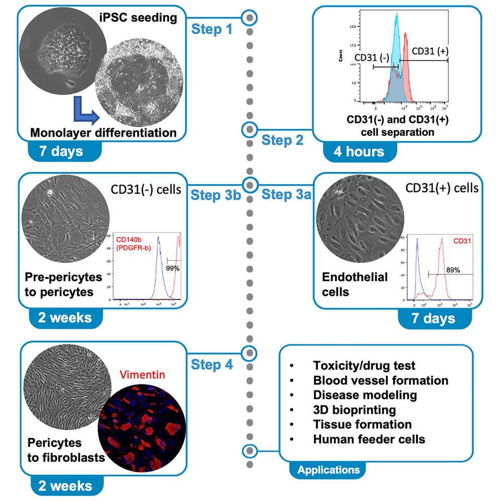 Cell Press: STAR Protocols