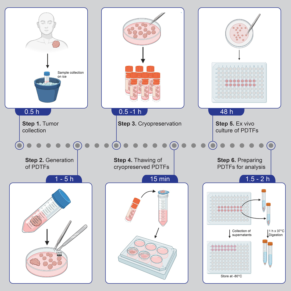 Cell Press: STAR Protocols
