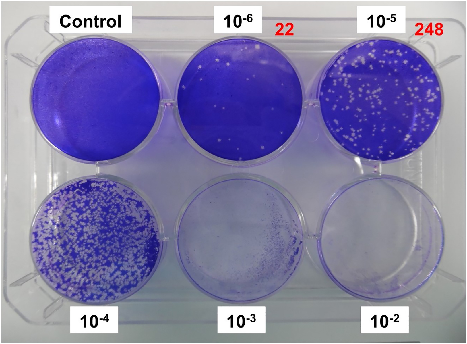 Cell Press: STAR Protocols