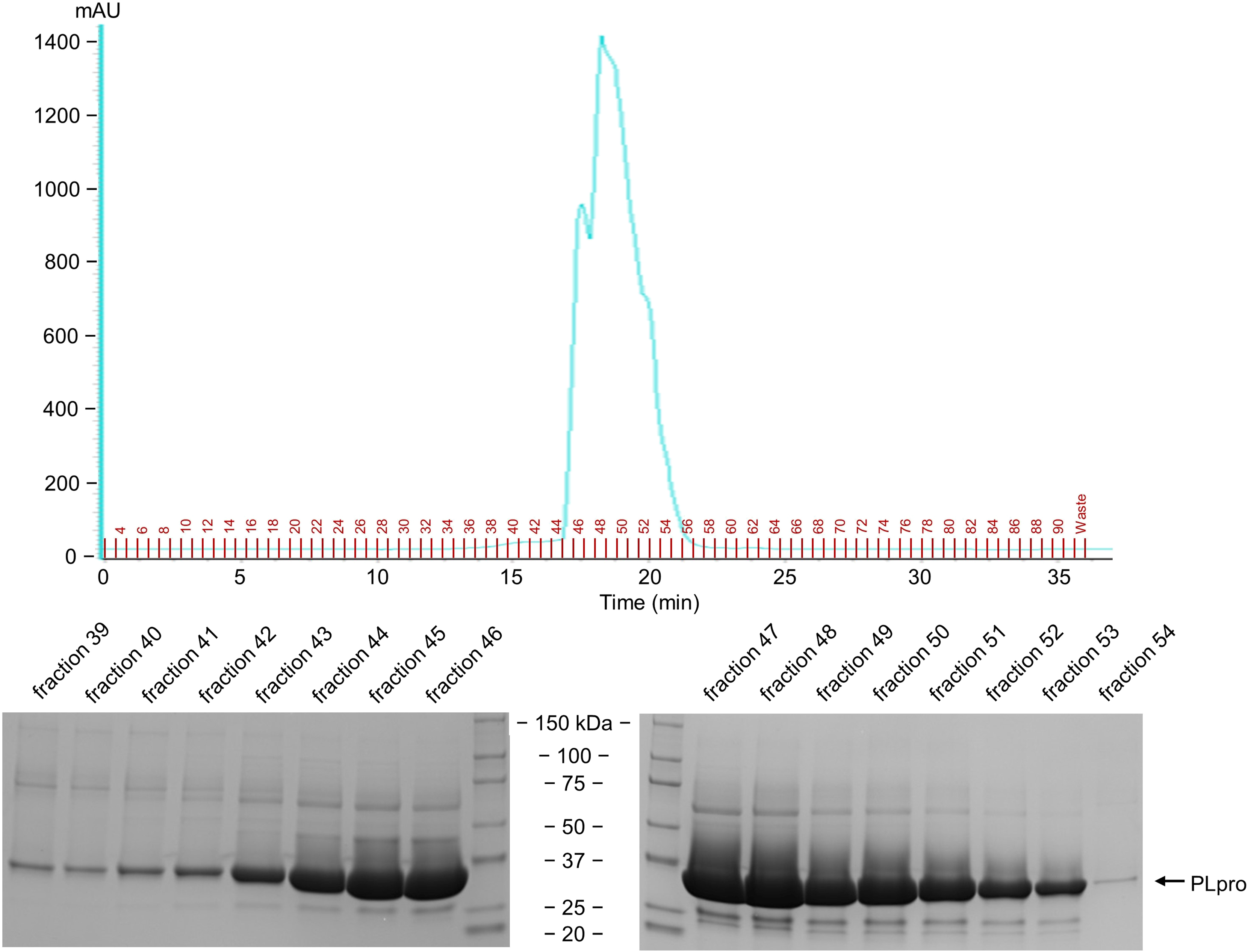 Cell Press: STAR Protocols