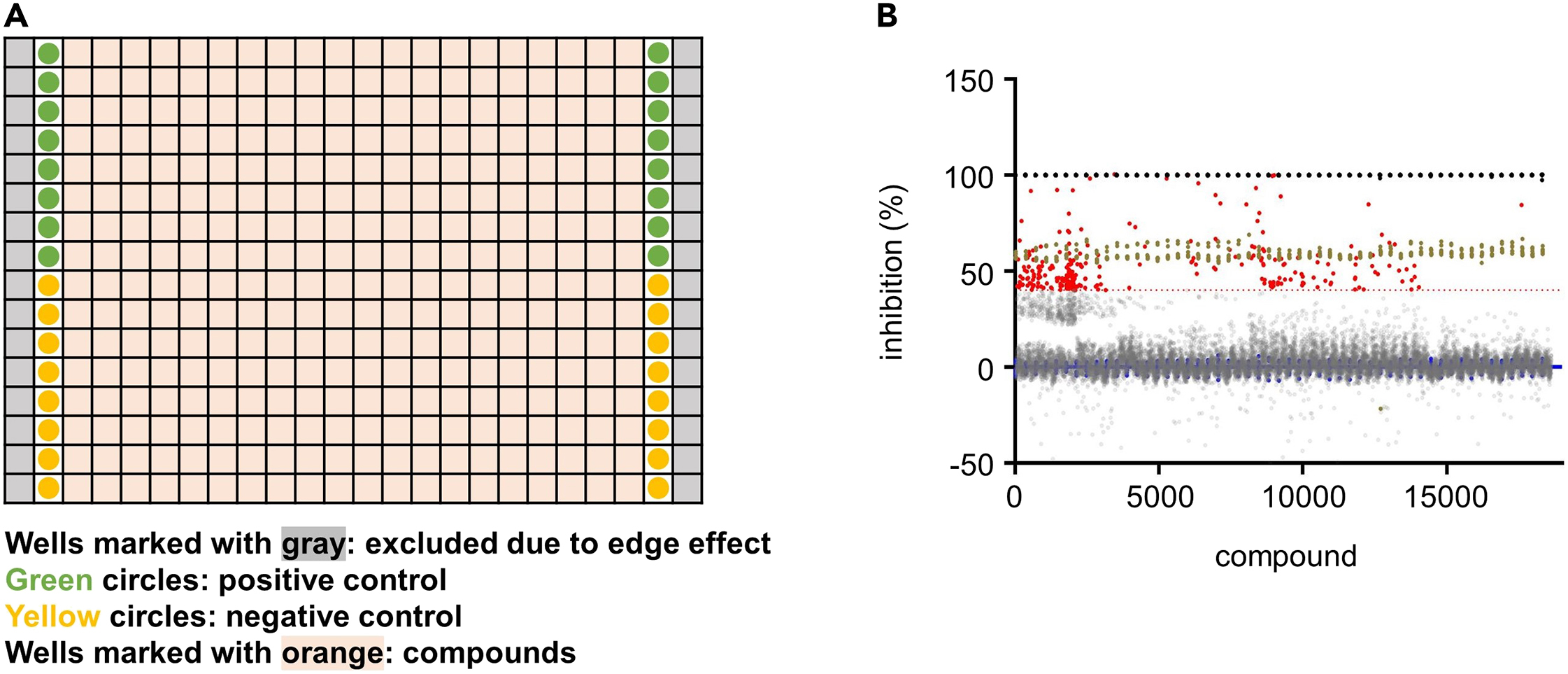 Cell Press: STAR Protocols
