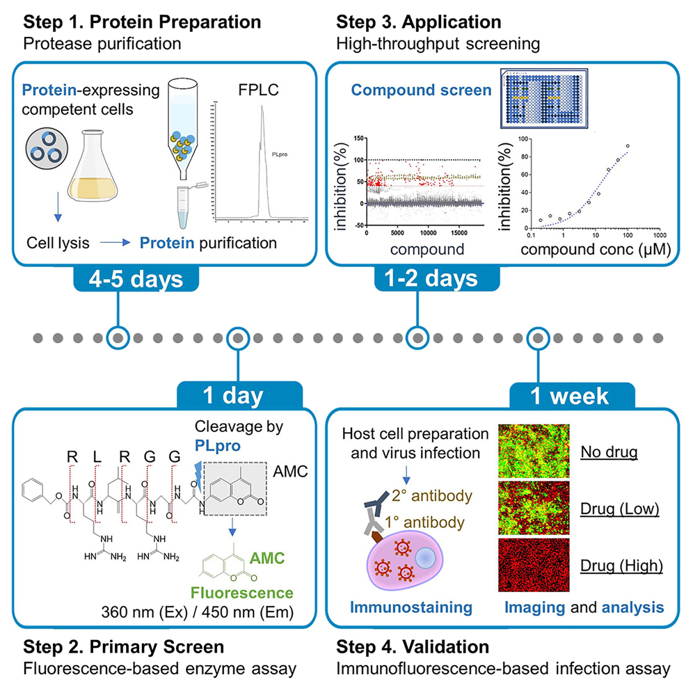 Cell Press: STAR Protocols