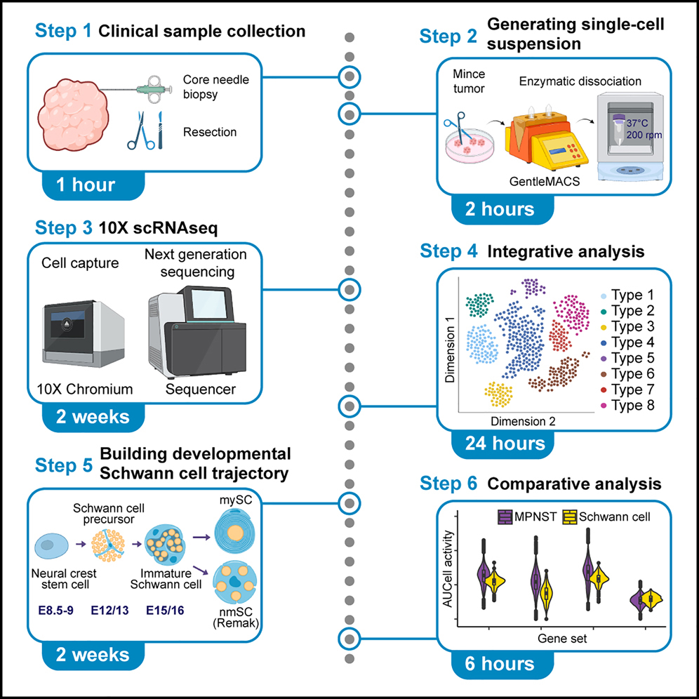Cell Press: STAR Protocols