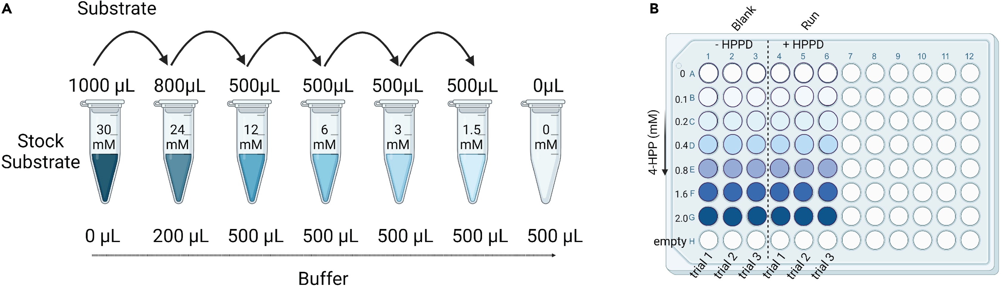Cell Press: STAR Protocols