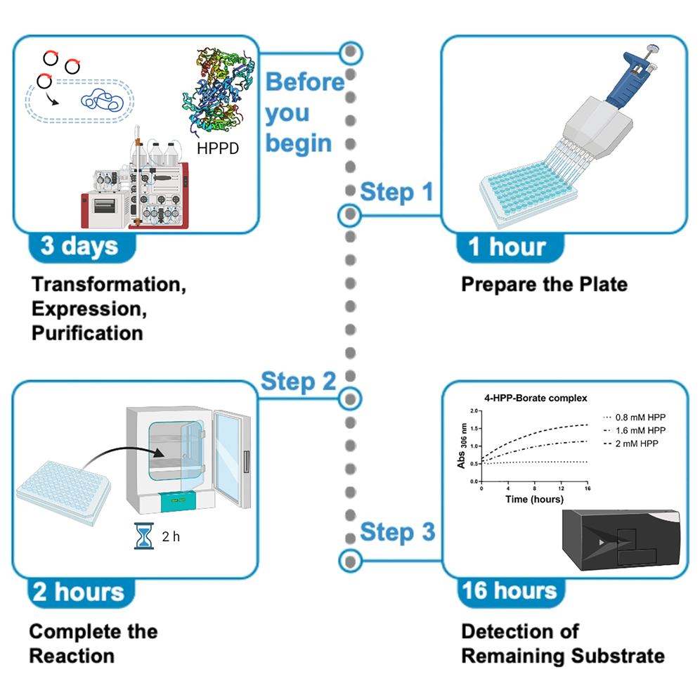 Cell Press: STAR Protocols